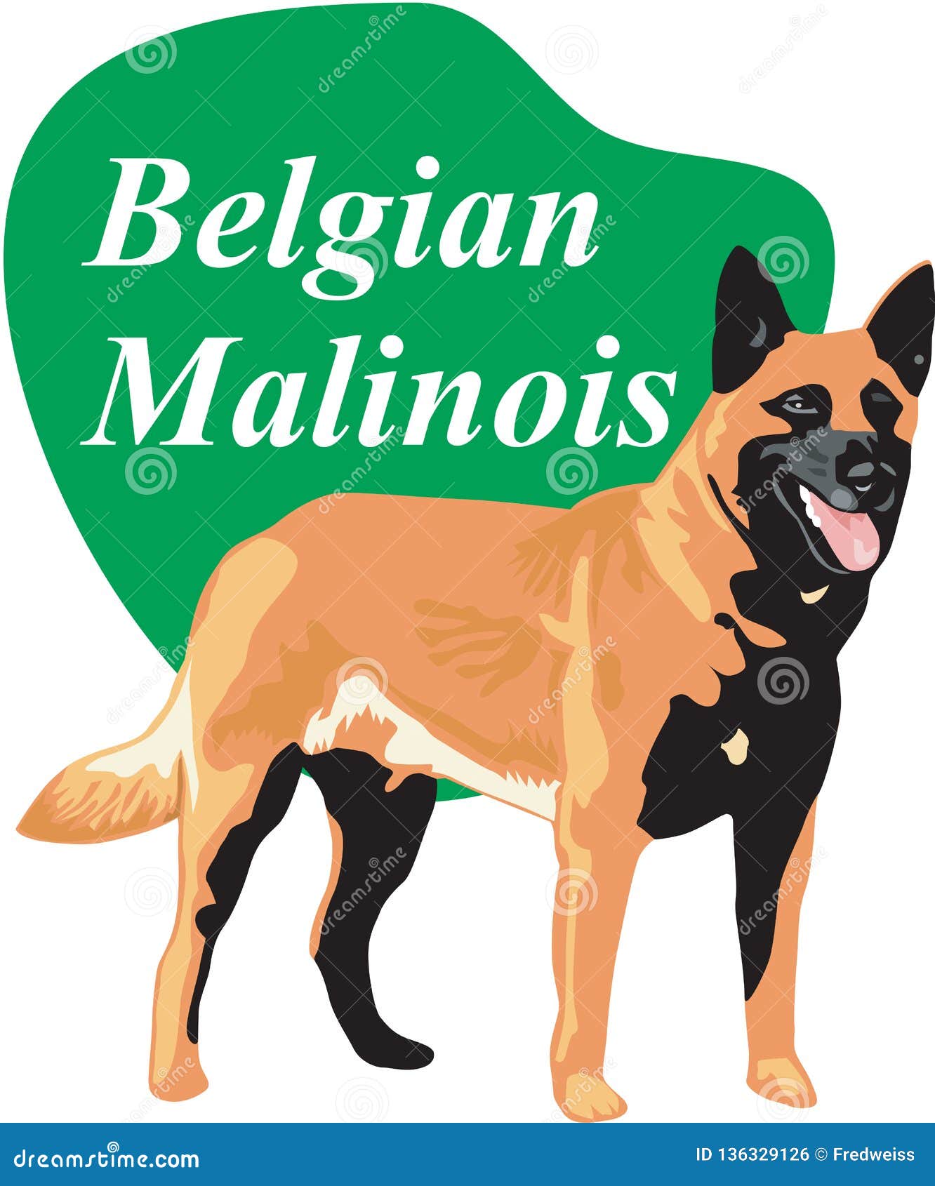 Belgian Malinois Vector Illustration Stock Vector - Illustration of ...