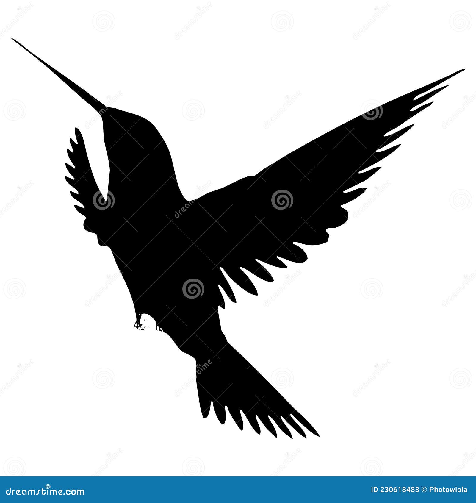 Vector Illustration of Birds. Black Hummingbird on a White Background ...