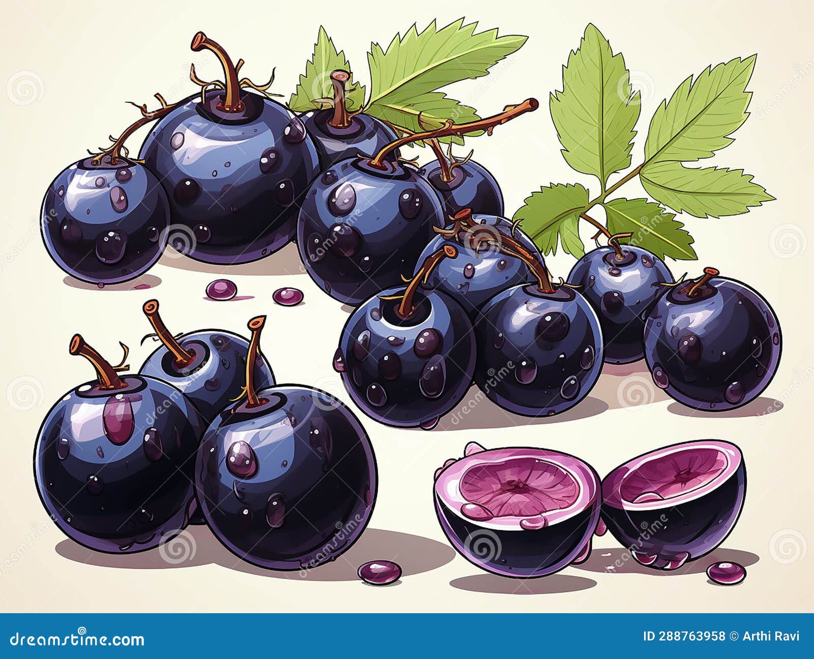 Vector Illustration of Black Currant Stock Illustration - Illustration ...