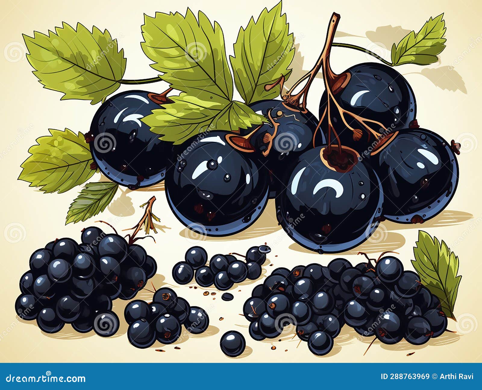 Vector Illustration of Black Currant Stock Illustration - Illustration ...