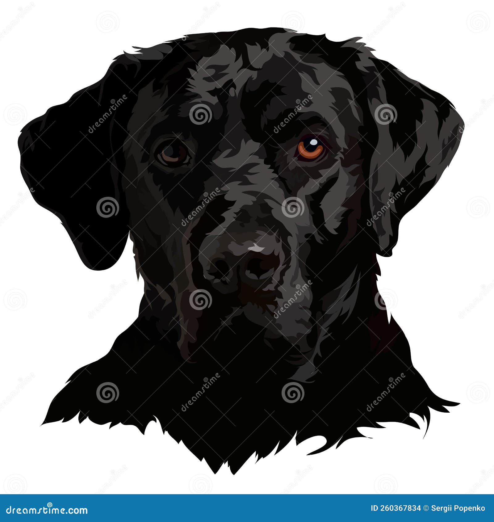 Vector Illustration of a Black Labrador. Portrait of a Dog on a White ...
