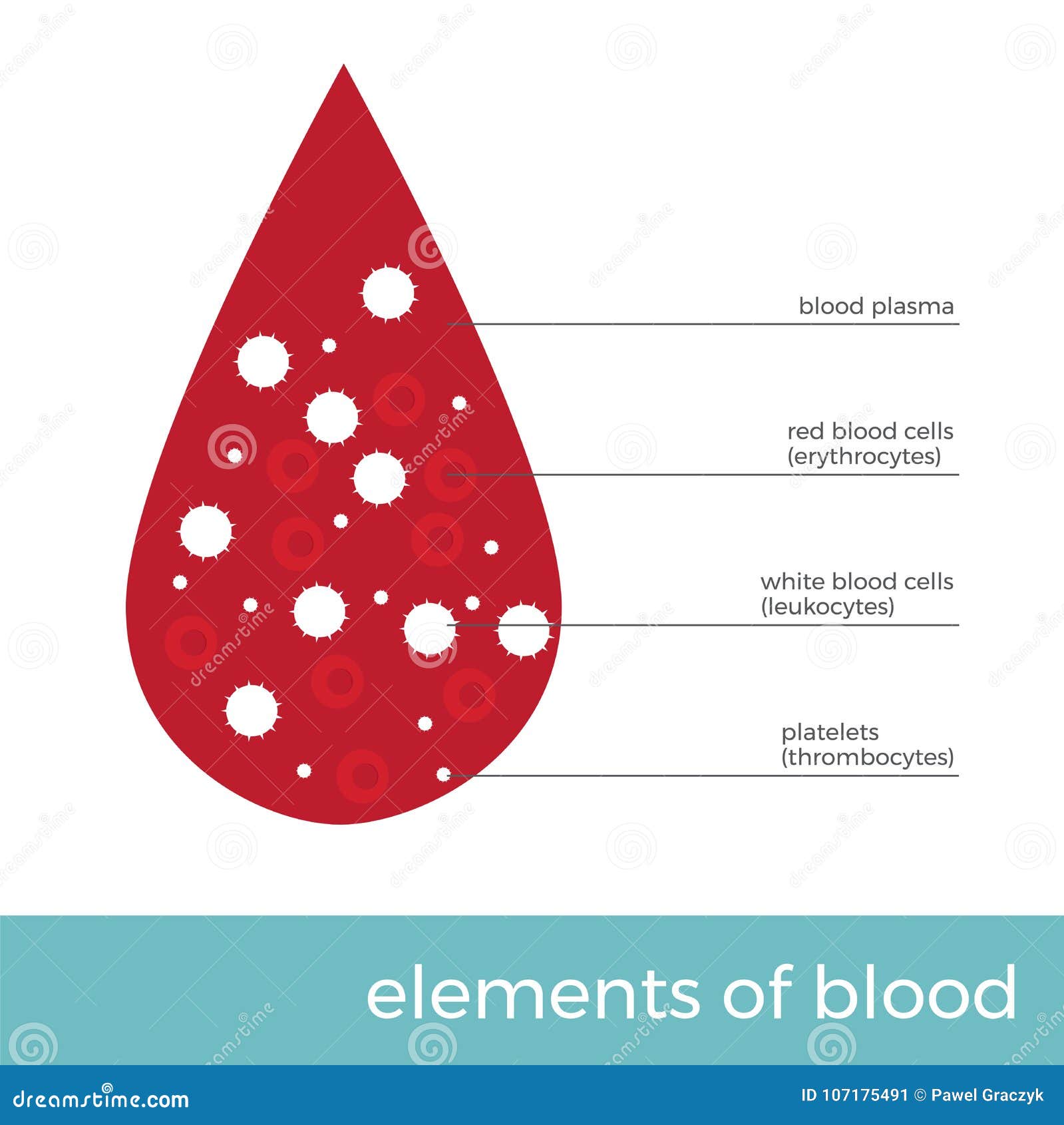 Vector Illustration of Blood Elements Stock Vector - Illustration of ...