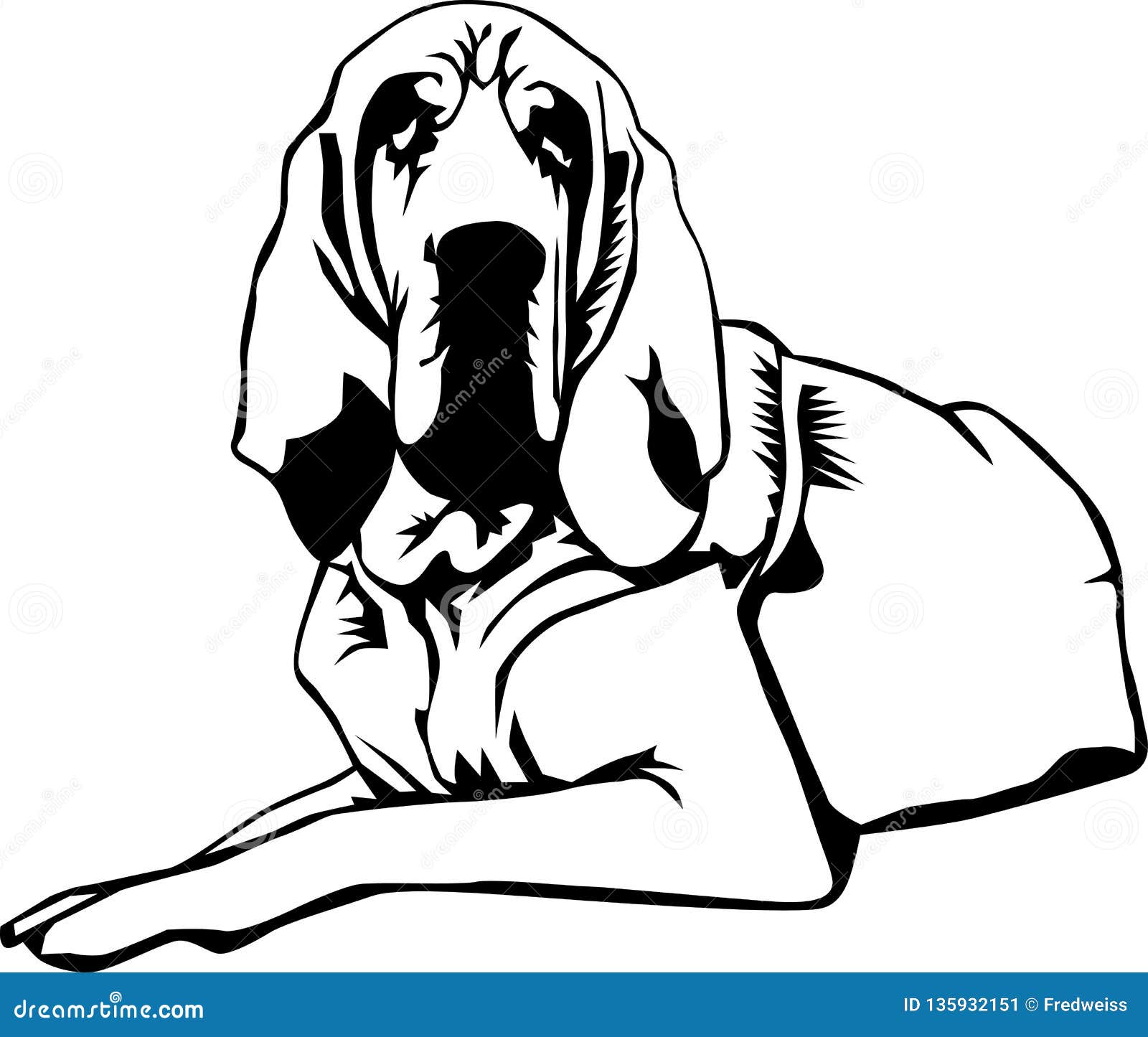 Bloodhound Vector Illustration Stock Vector - Illustration of domestic ...