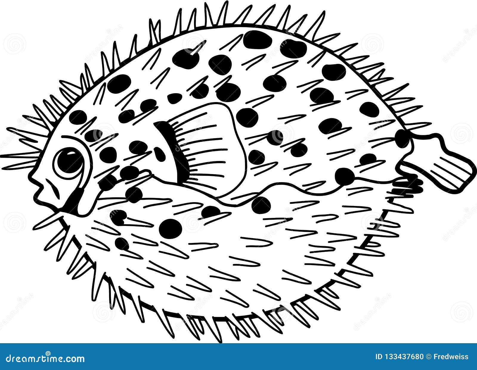 Blow Fish Illustration stock vector. Illustration of saltwater - 133437680