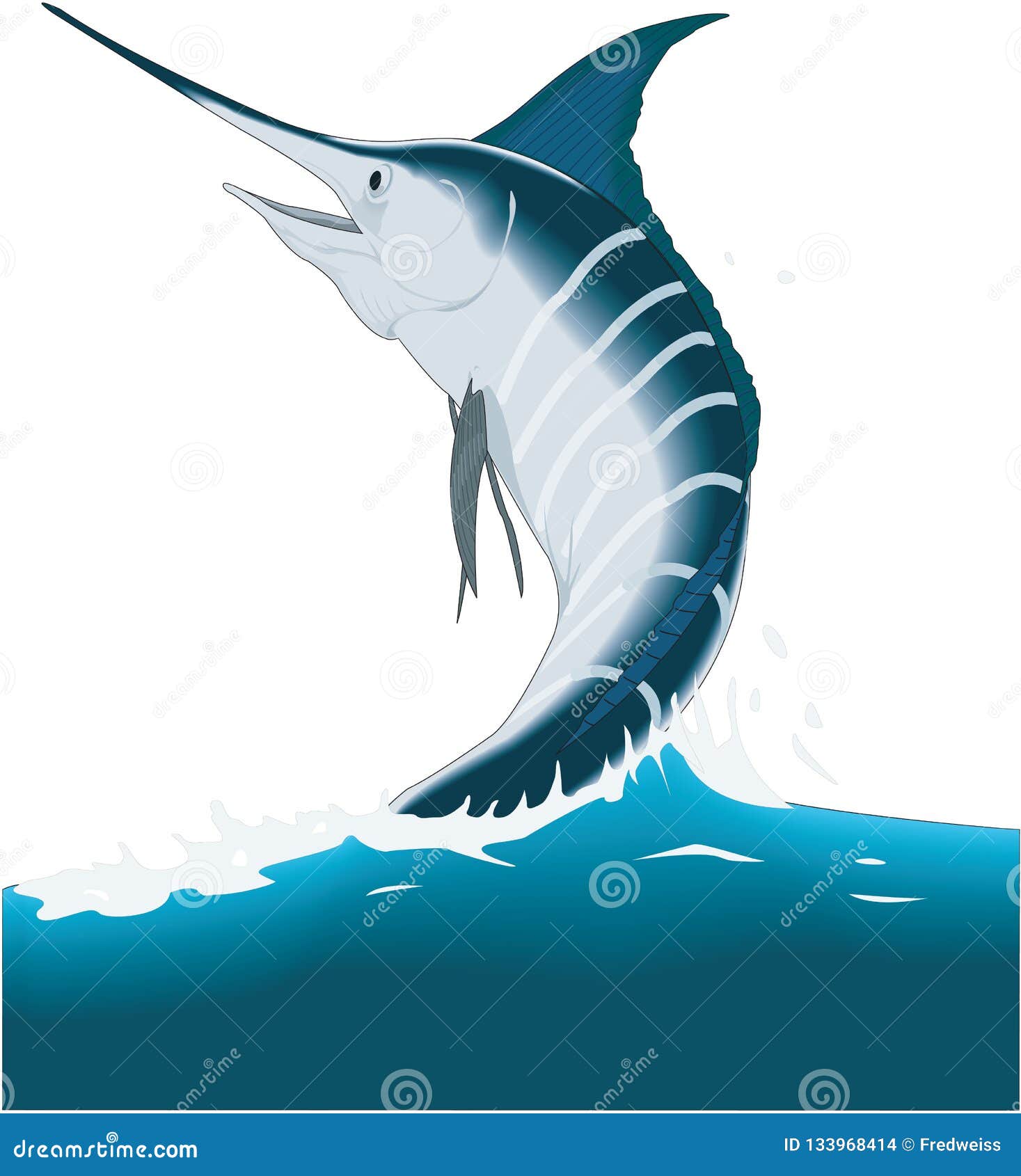 Marlin Breaching Illustration Stock Vector - Illustration of gamefish ...