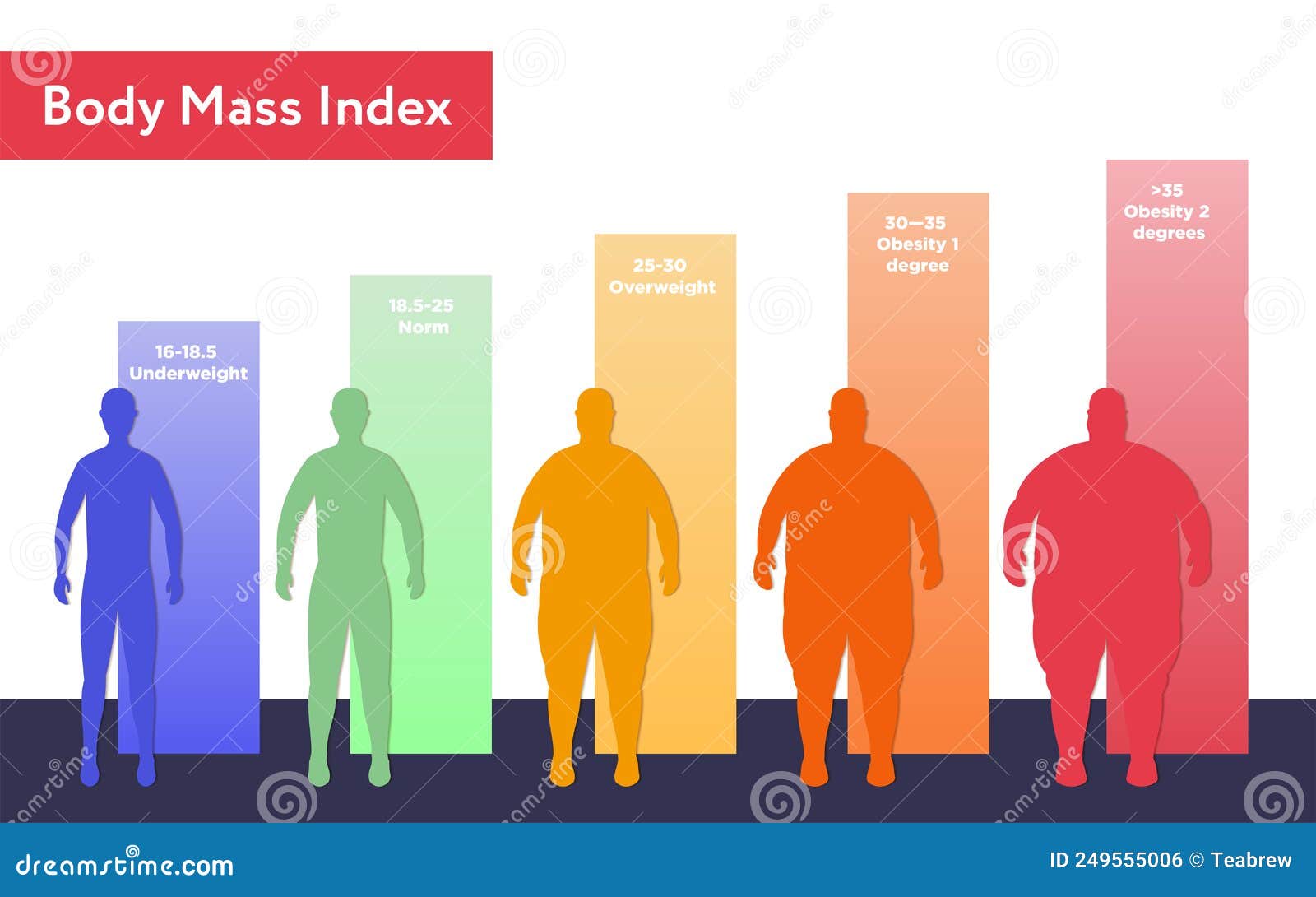Vector Illustration with BMI Chart Stock Vector - Illustration of food ...