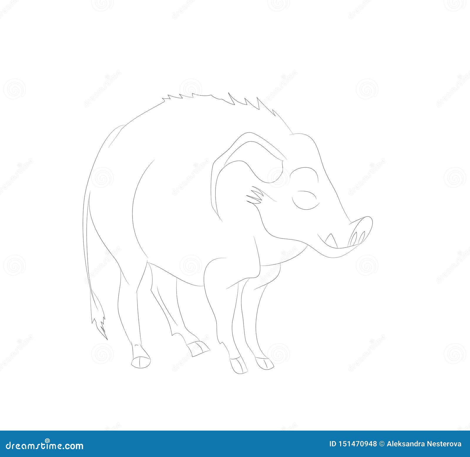 Vector Illustration of a Boar Who is Standing, Drawing Lines, Vector ...