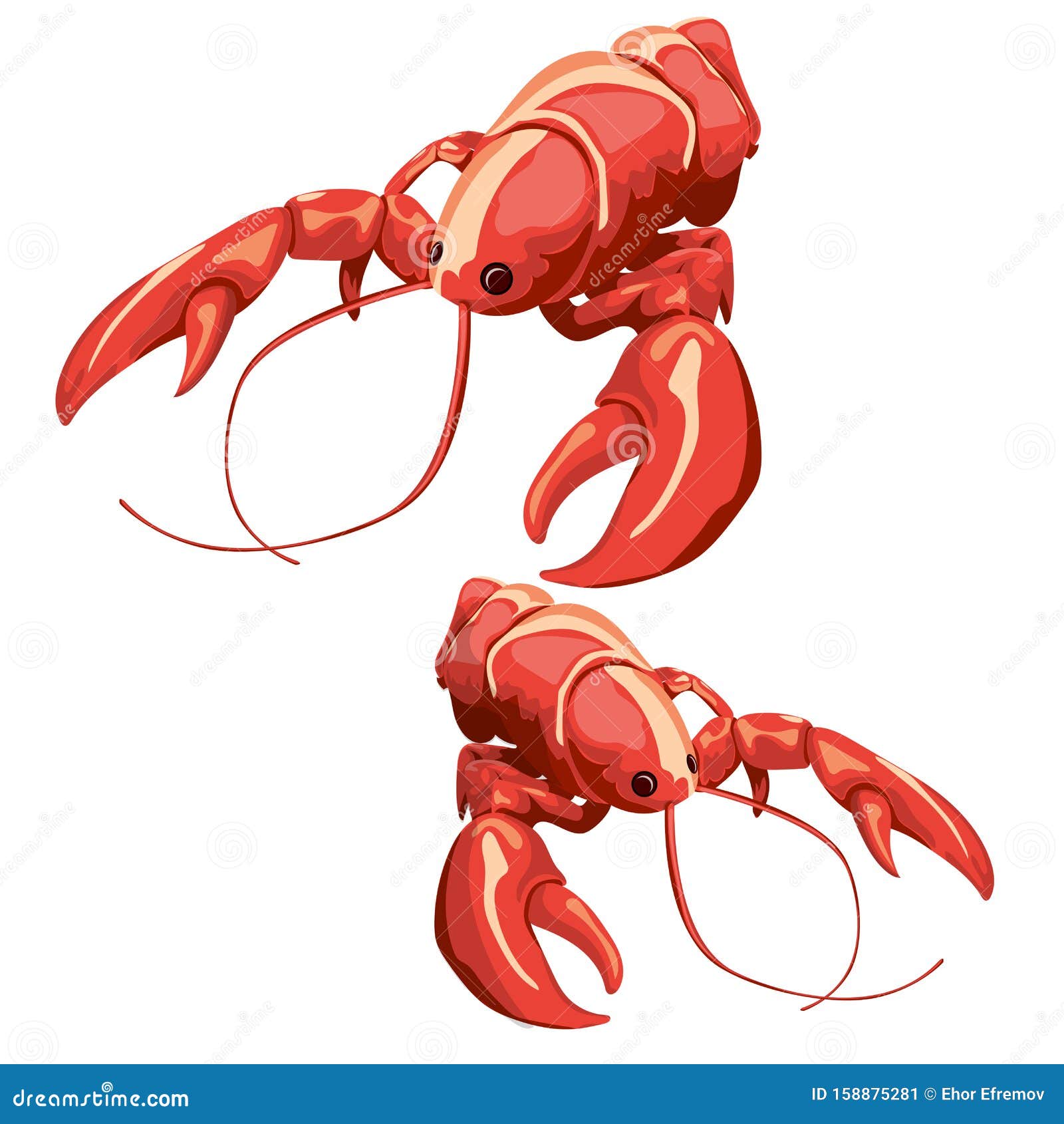 Vector Illustration of Boiled Crayfish Stock Vector - Illustration of ...