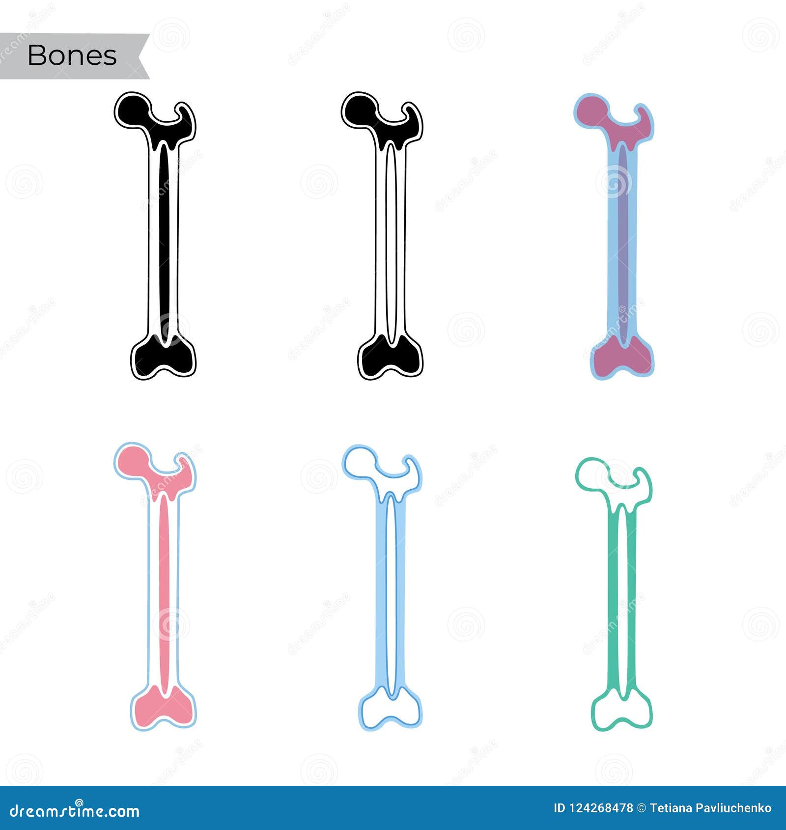 Vector Illustration of Bone Marrow Stock Vector - Illustration of ...