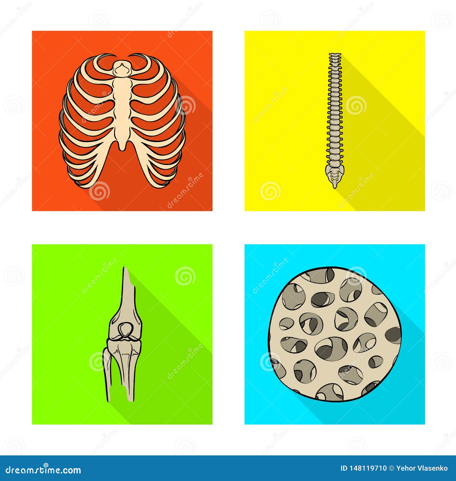 Vector Illustration of Bone and Skeleton Logo. Collection of Bone and ...