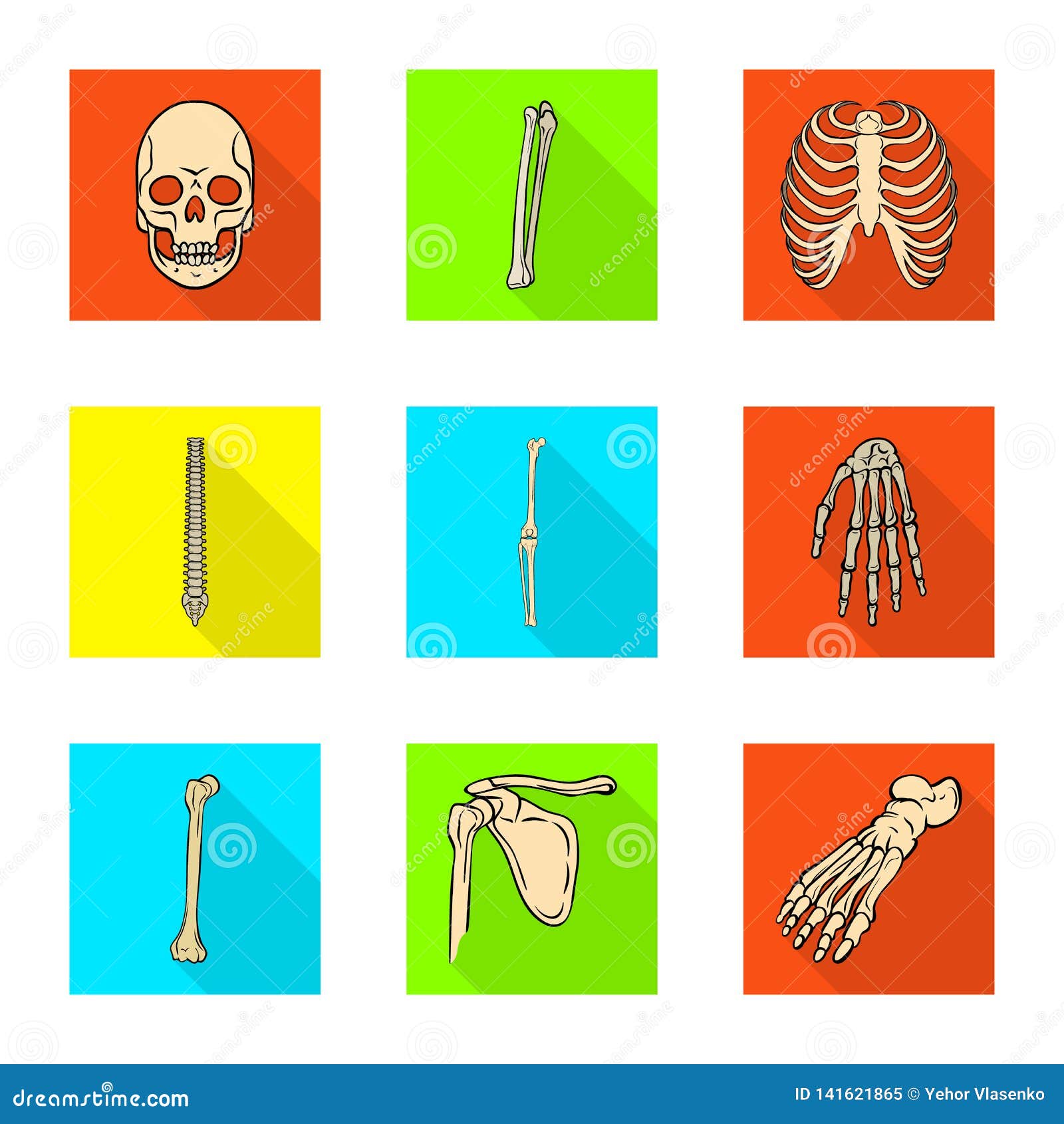 Vector Design of Bone and Skeleton Sign. Set of Bone and Human Stock ...