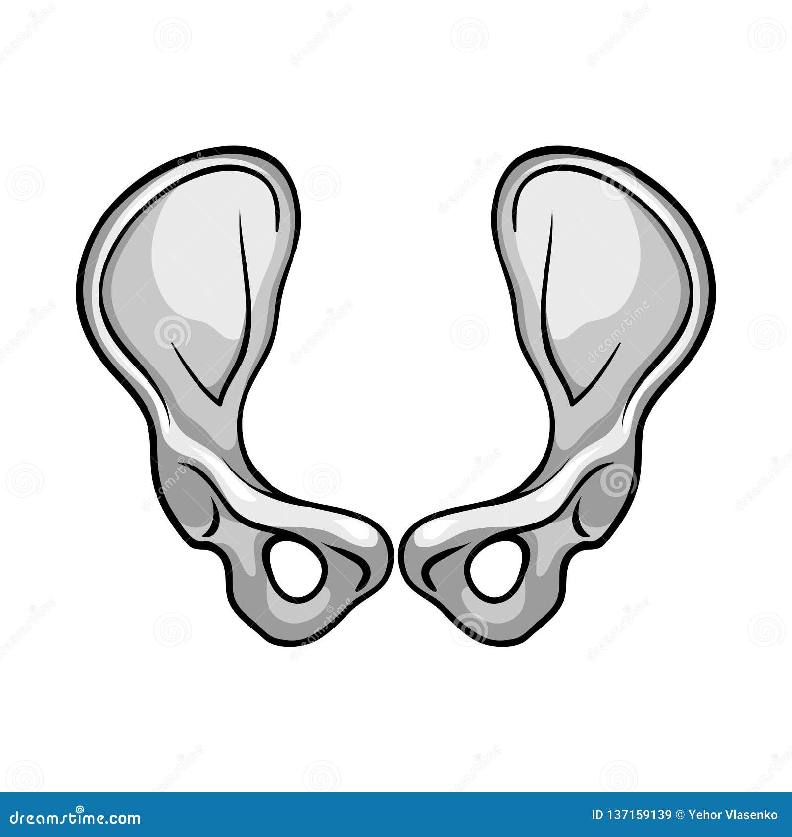 Vector Illustration of Bone and Skeleton Logo. Set of Bone and Human ...