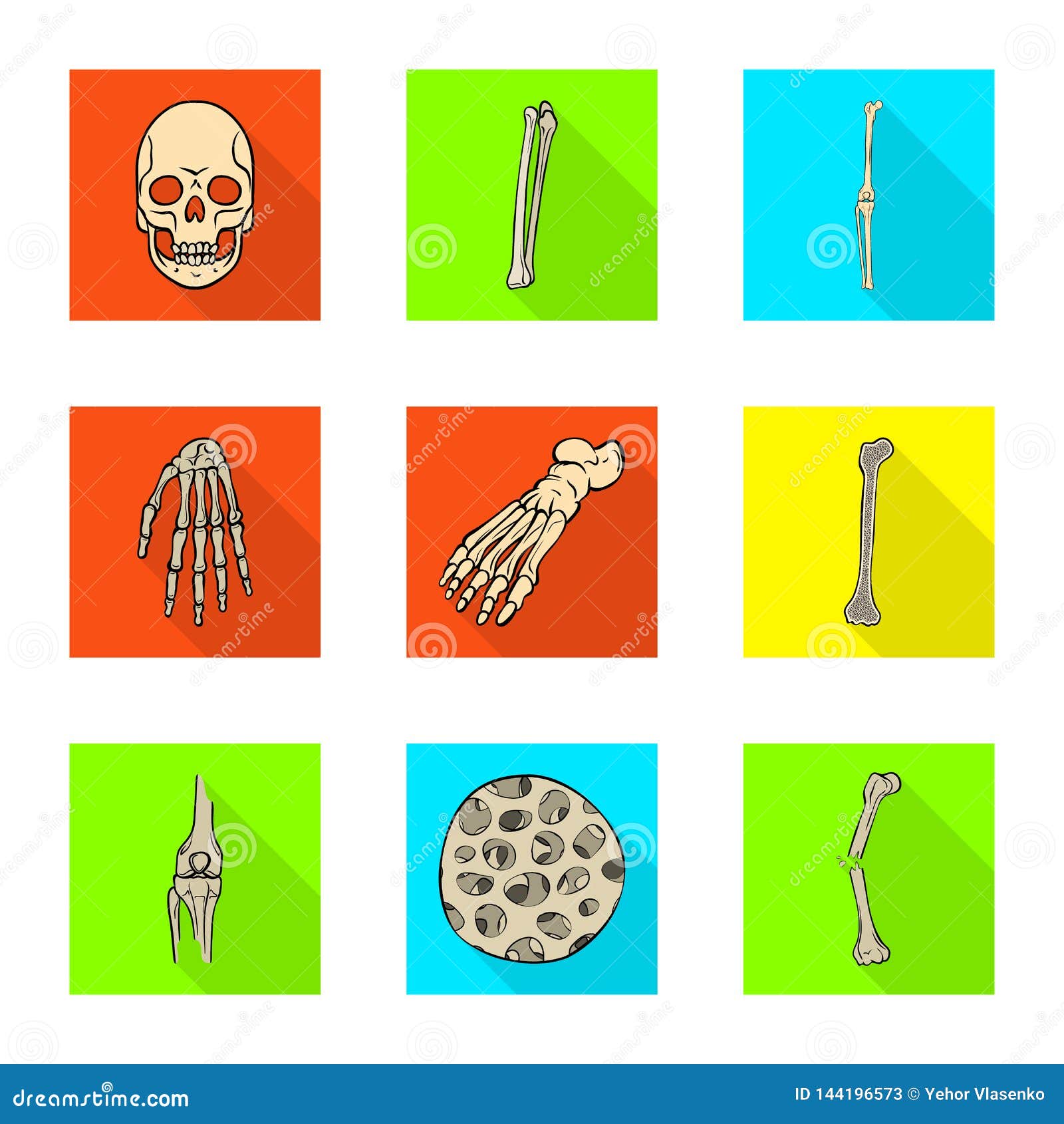 Vector Design of Bone and Skeleton Symbol. Set of Bone and Human Stock ...