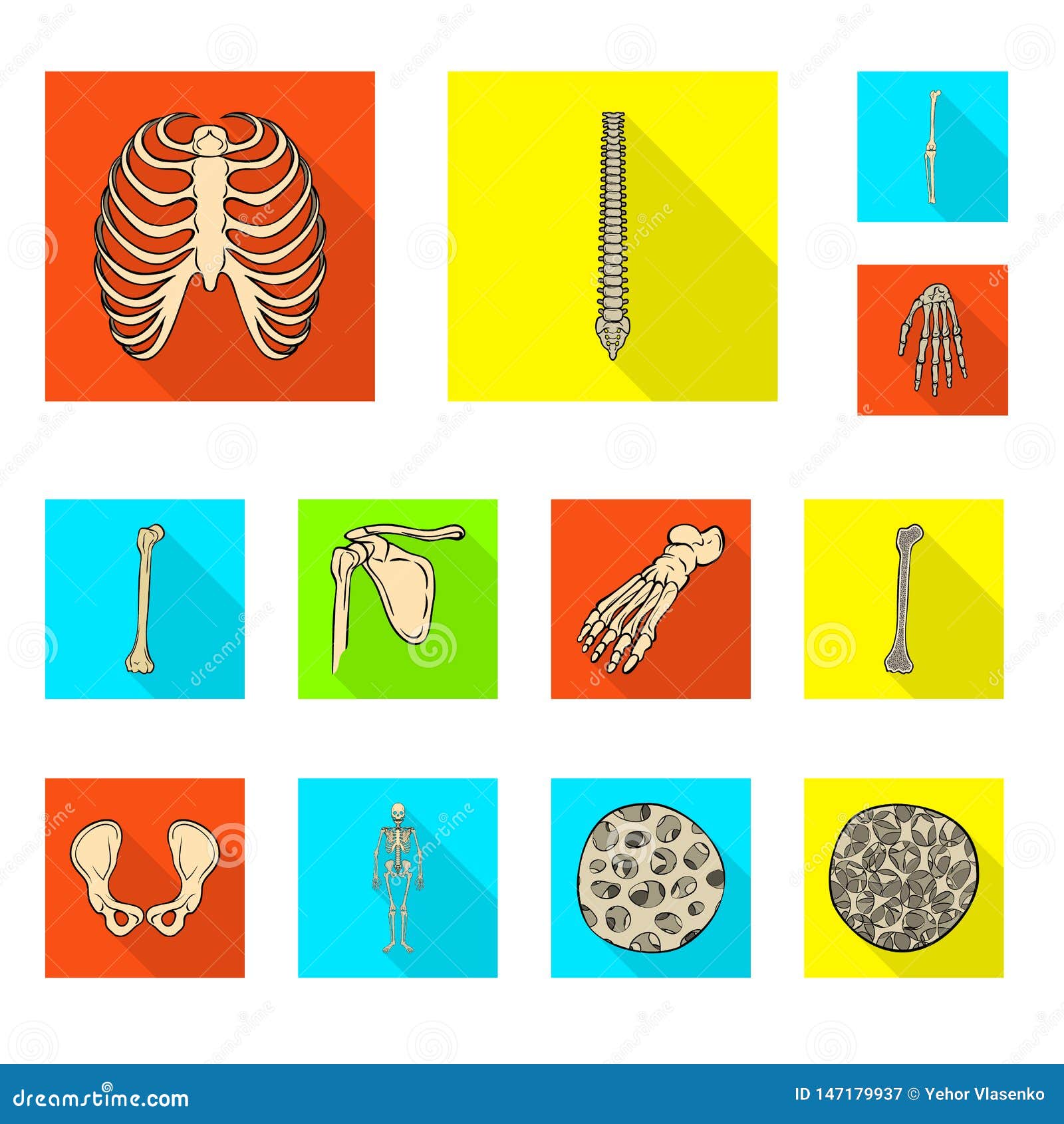 Vector Illustration of Bone and Skeleton Symbol. Set of Bone and Human ...