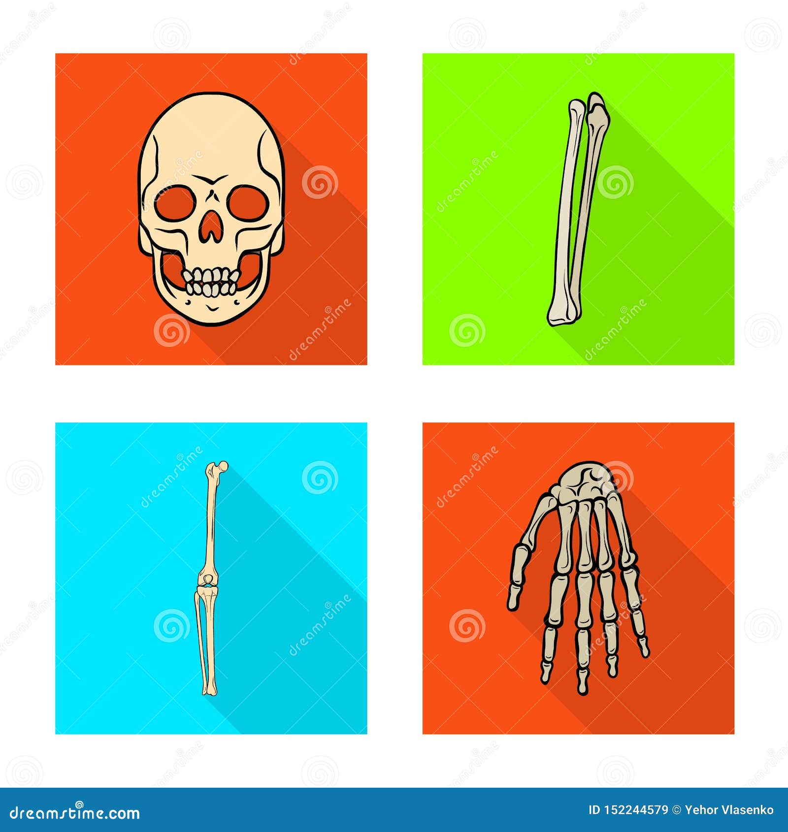 Vector Illustration of Bone and Skeleton Symbol. Set of Bone and Human ...