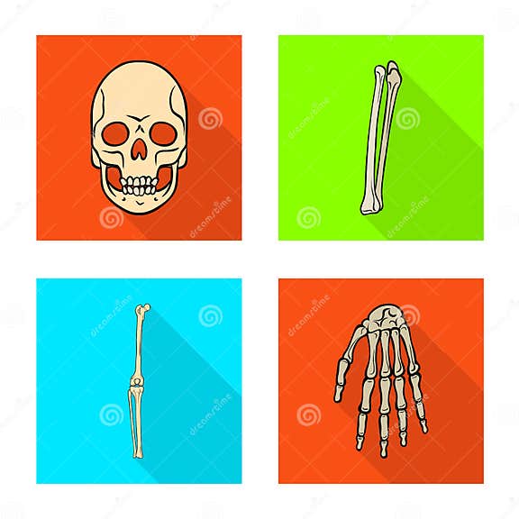 Vector Illustration of Bone and Skeleton Symbol. Set of Bone and Human ...
