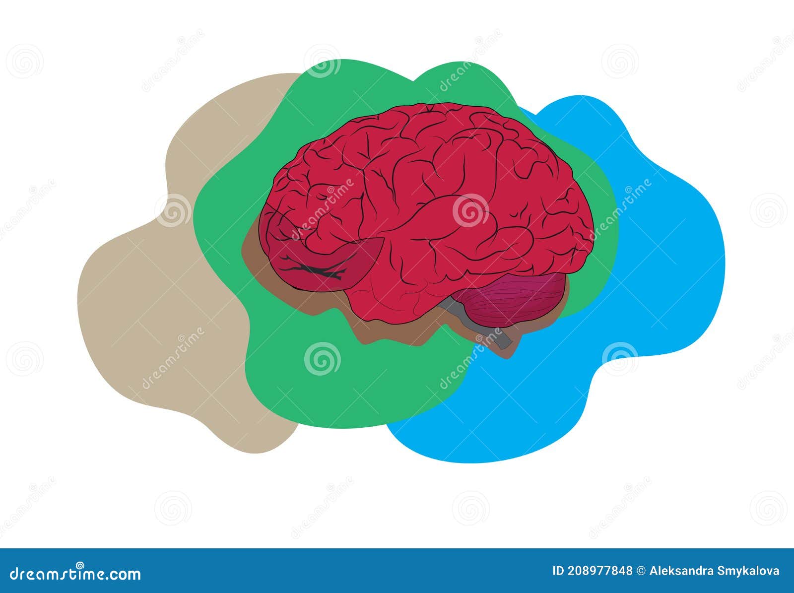 Vector Illustration of a Brain Stock Vector - Illustration of health ...