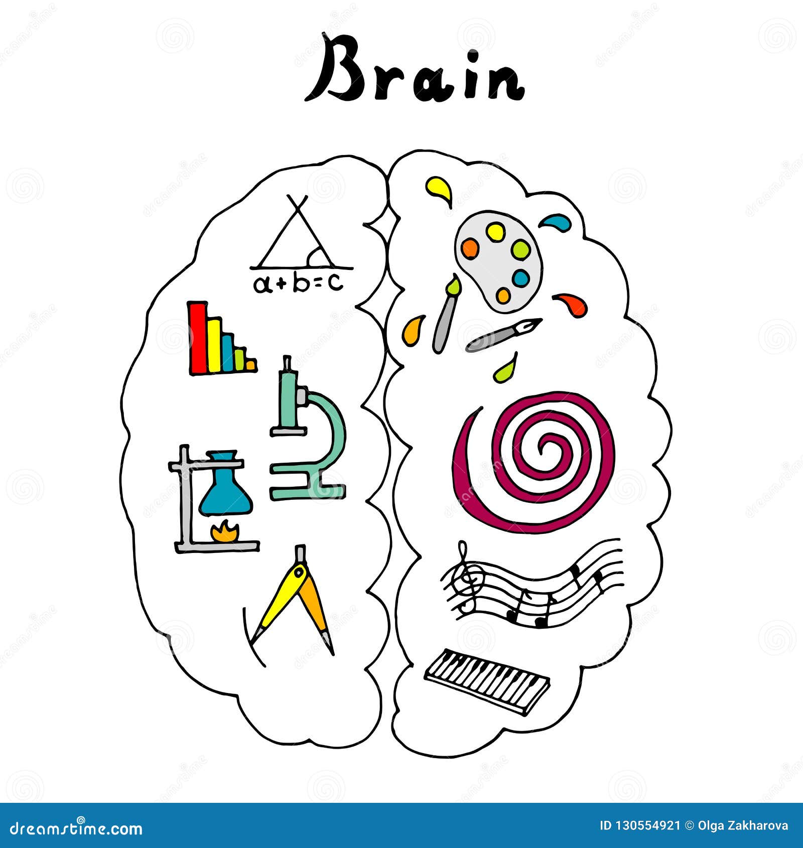 Left And Right Brain Functions Vector Illustration | CartoonDealer.com ...