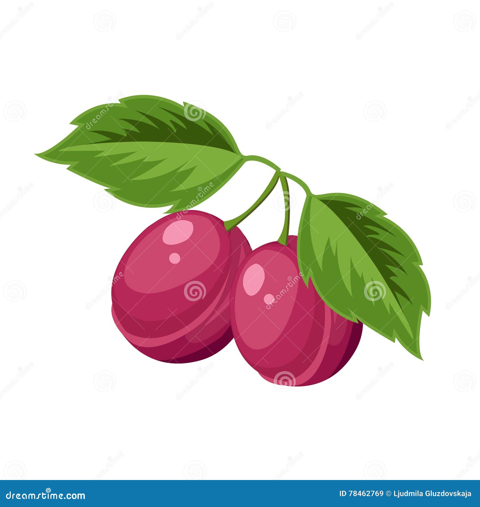 Vector Illustration of Bright, Ripe Plums. Cartoon Icon. Stock Vector ...
