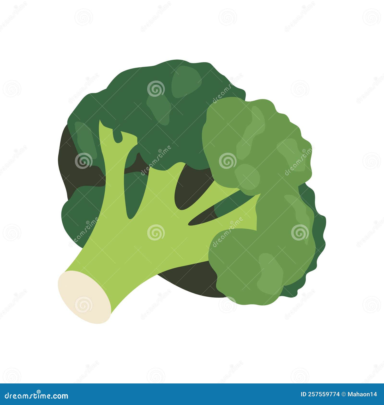 Vector Illustration of Broccoli Stock Vector - Illustration of health ...