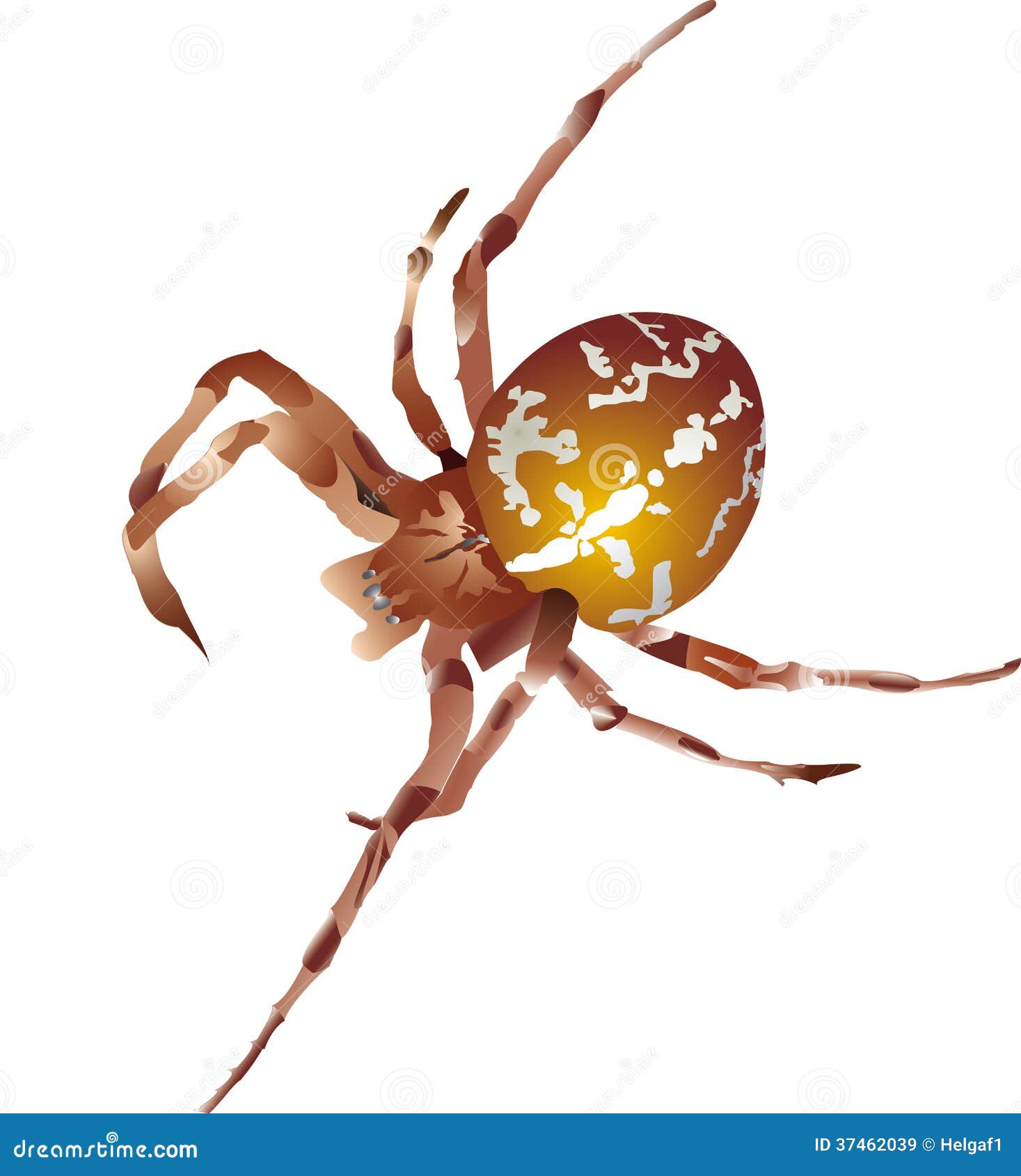 Vector Illustration. Brown Spider Stock Vector - Illustration of color ...
