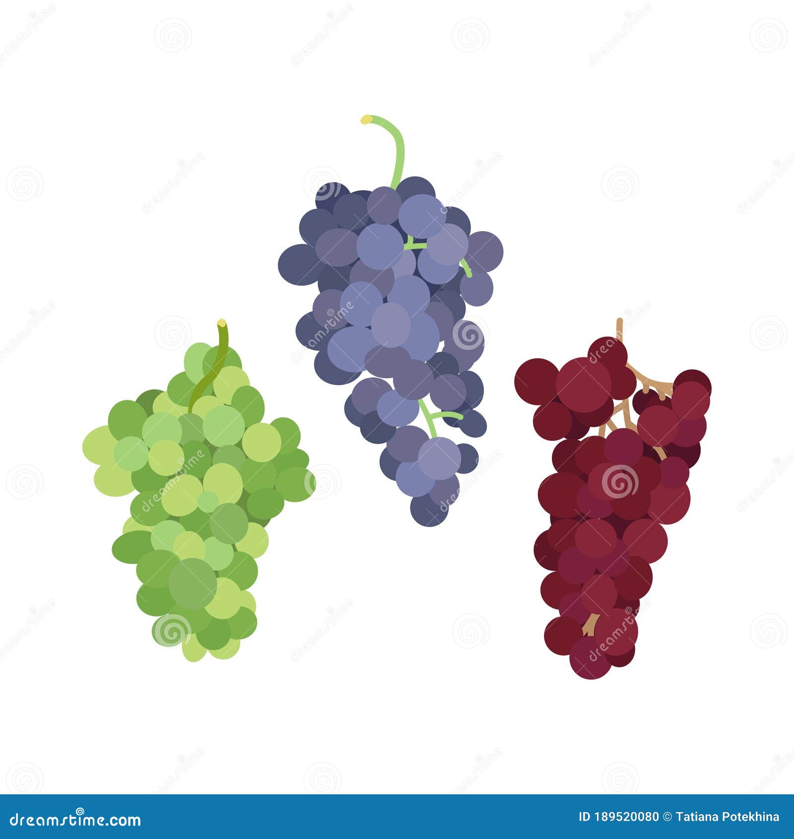 Vector Illustration of a Bunch of Grapes of Different Varieties on a ...