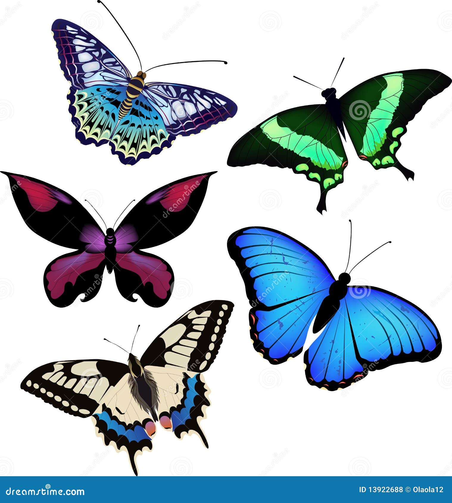 Vector Illustration of Butterflies Stock Vector - Illustration of ...