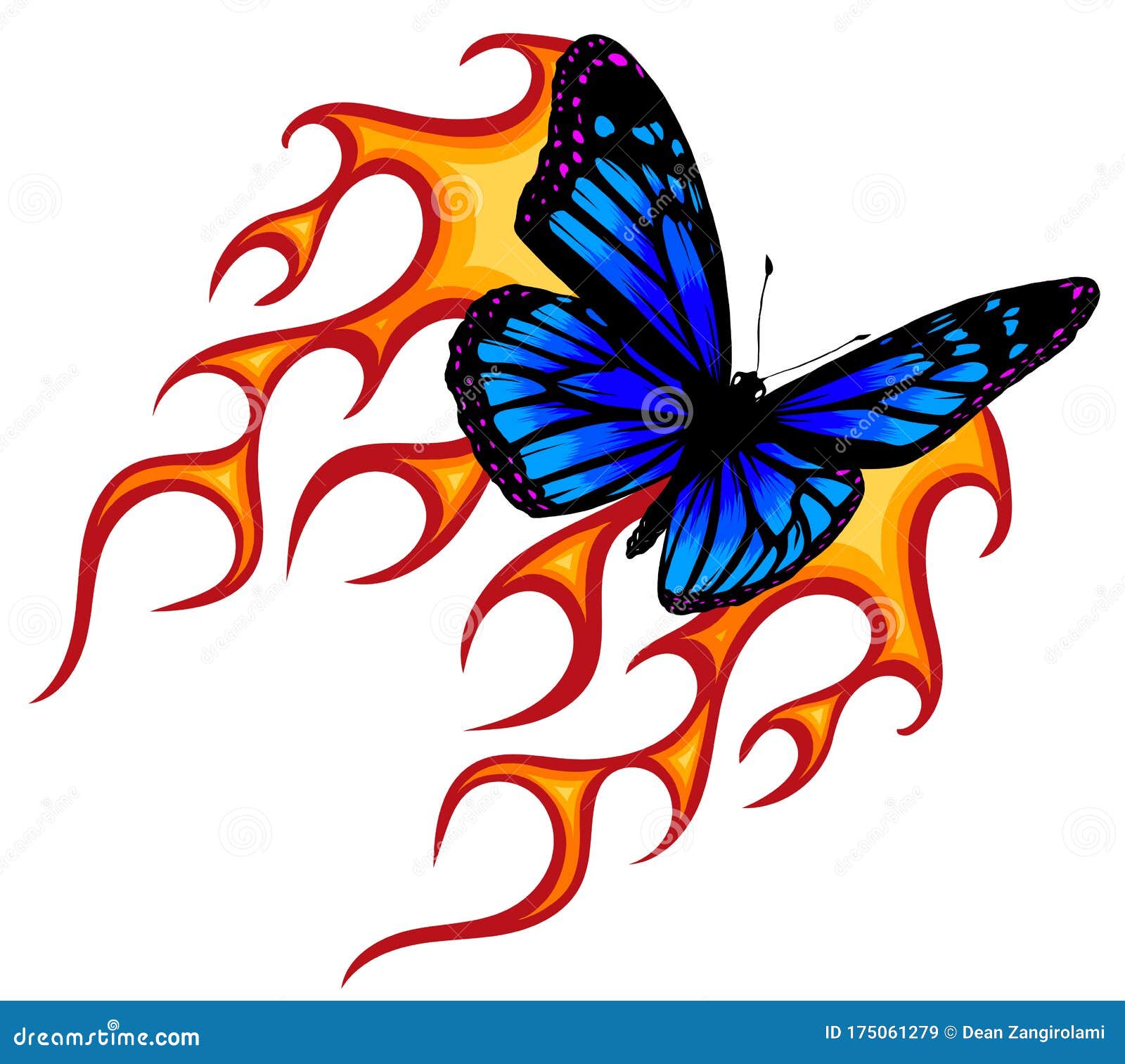 Fire Butterfly Peacock Fiery Butterfly Cartoon Vector | CartoonDealer ...