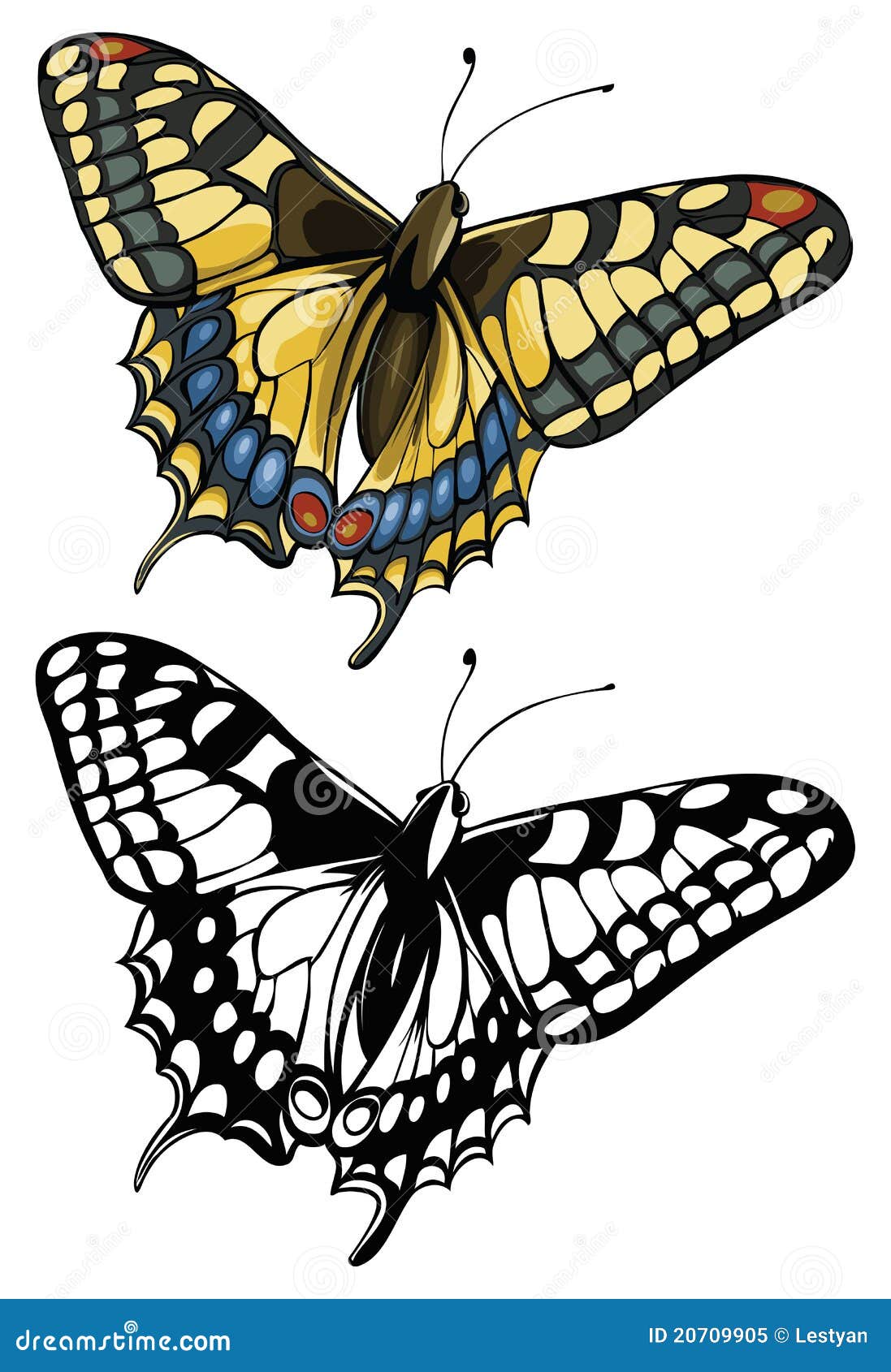 Vector Illustration of a Butterfly Swallowtail(Pap Stock Vector ...
