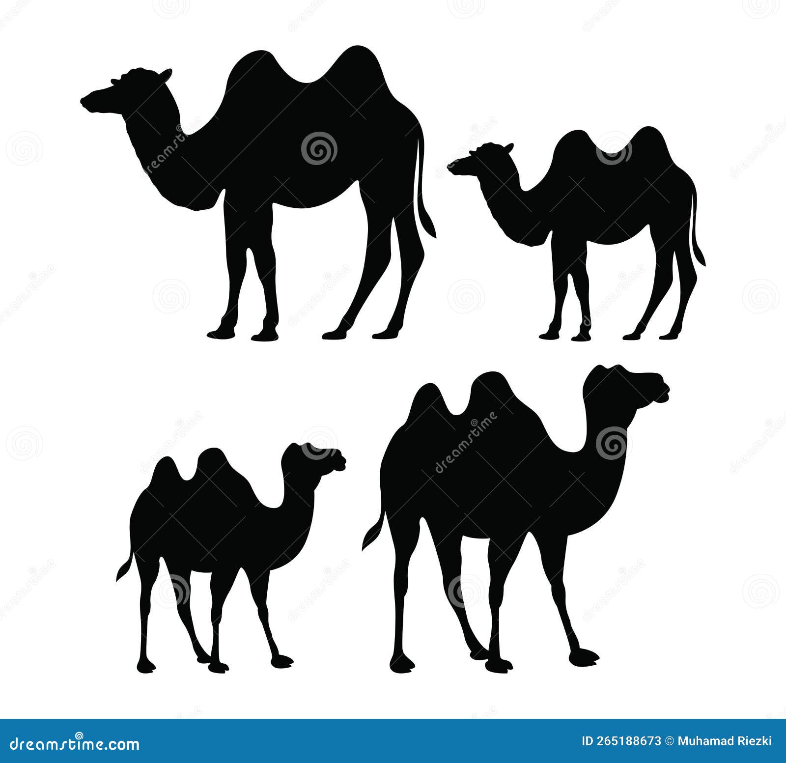Camel With Creative Lettering, Vector Image | CartoonDealer.com #84807997