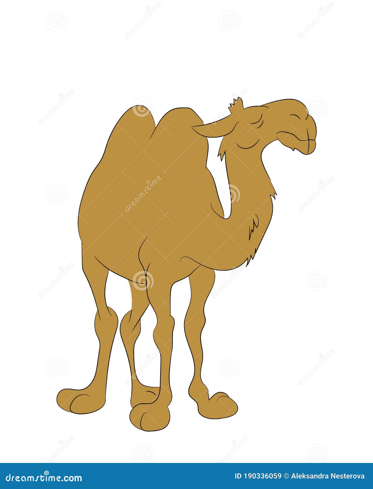 Camel Standing Arabian Animal From African Middle East Cute Drawing ...