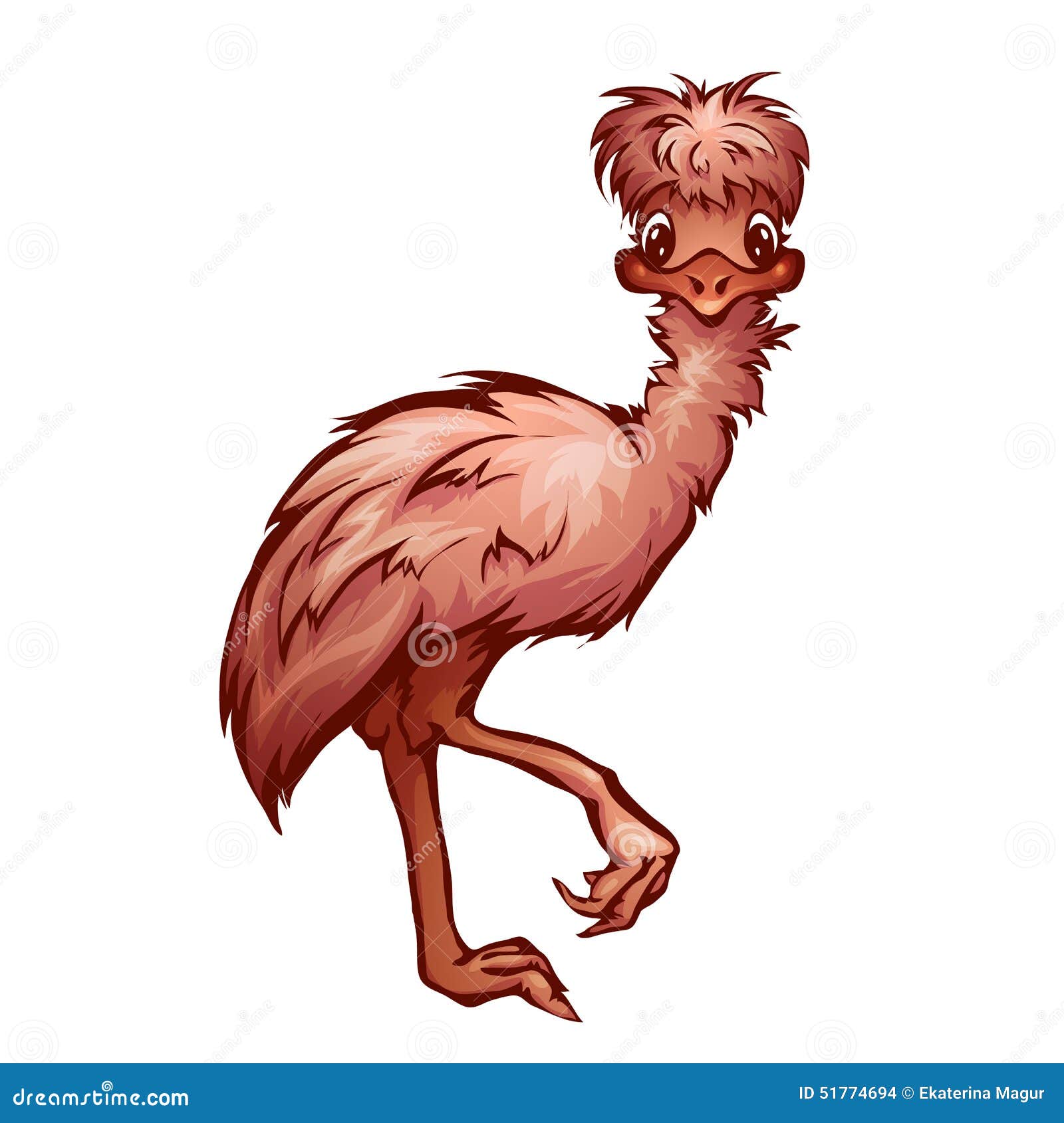Vector Illustration Of Cartoon Cute Emu | CartoonDealer.com #51774694