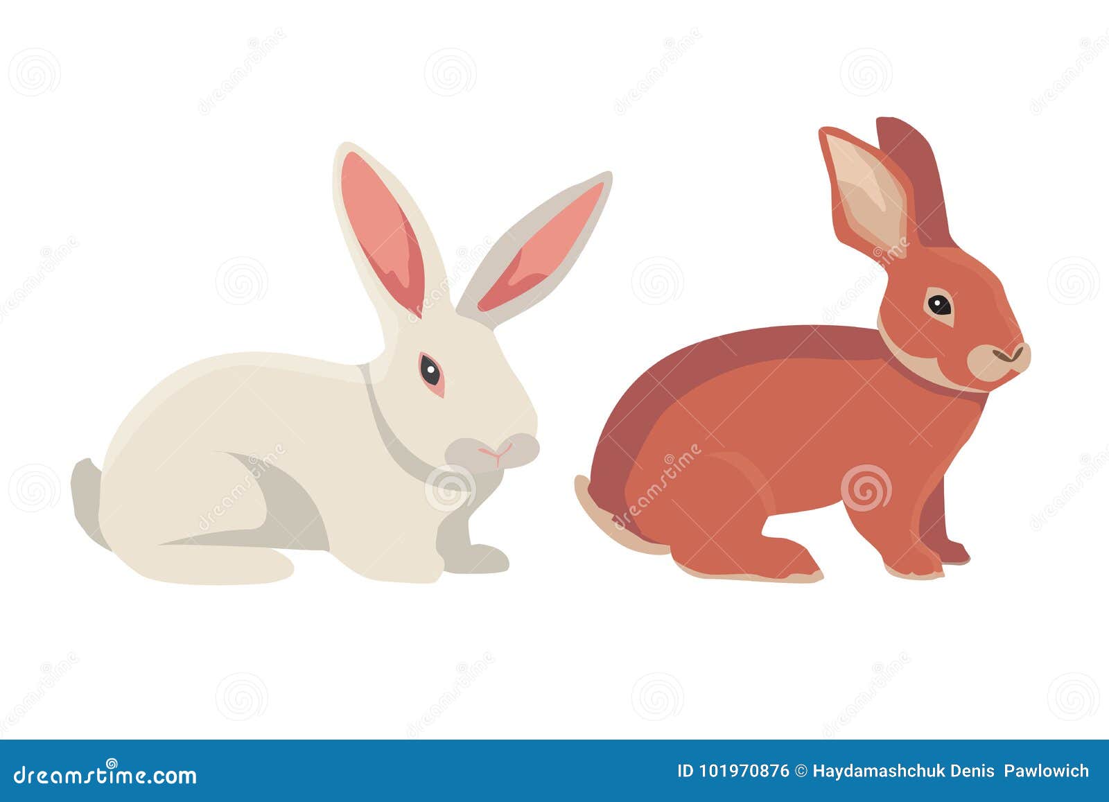 Rabbits Breeds Chart Vector Illustration | CartoonDealer.com #111212194
