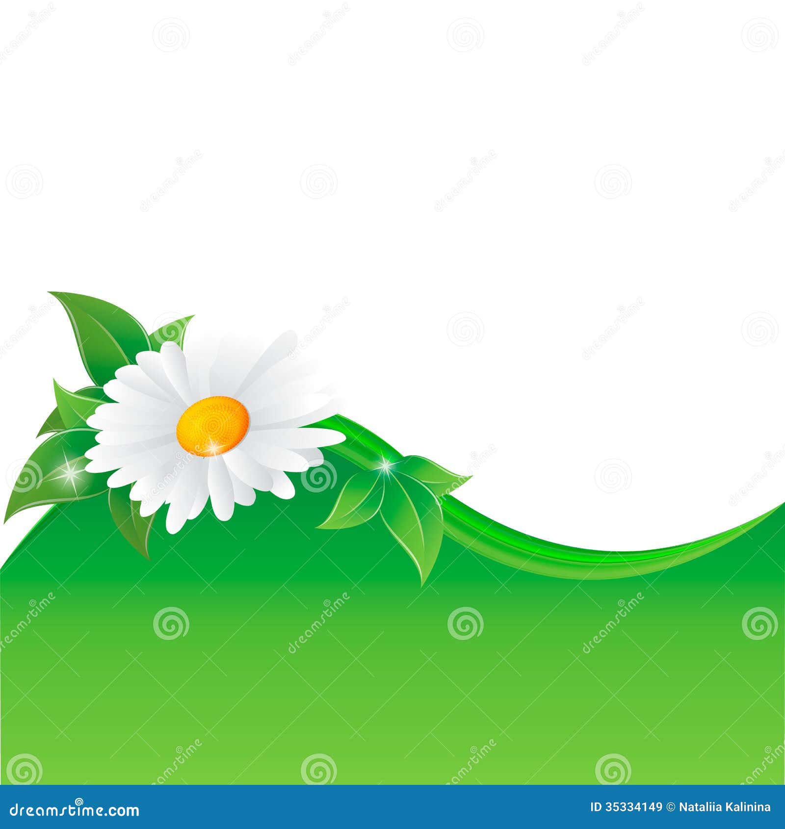 Vector Illustration of Chamomile Flower Stock Vector - Illustration of ...