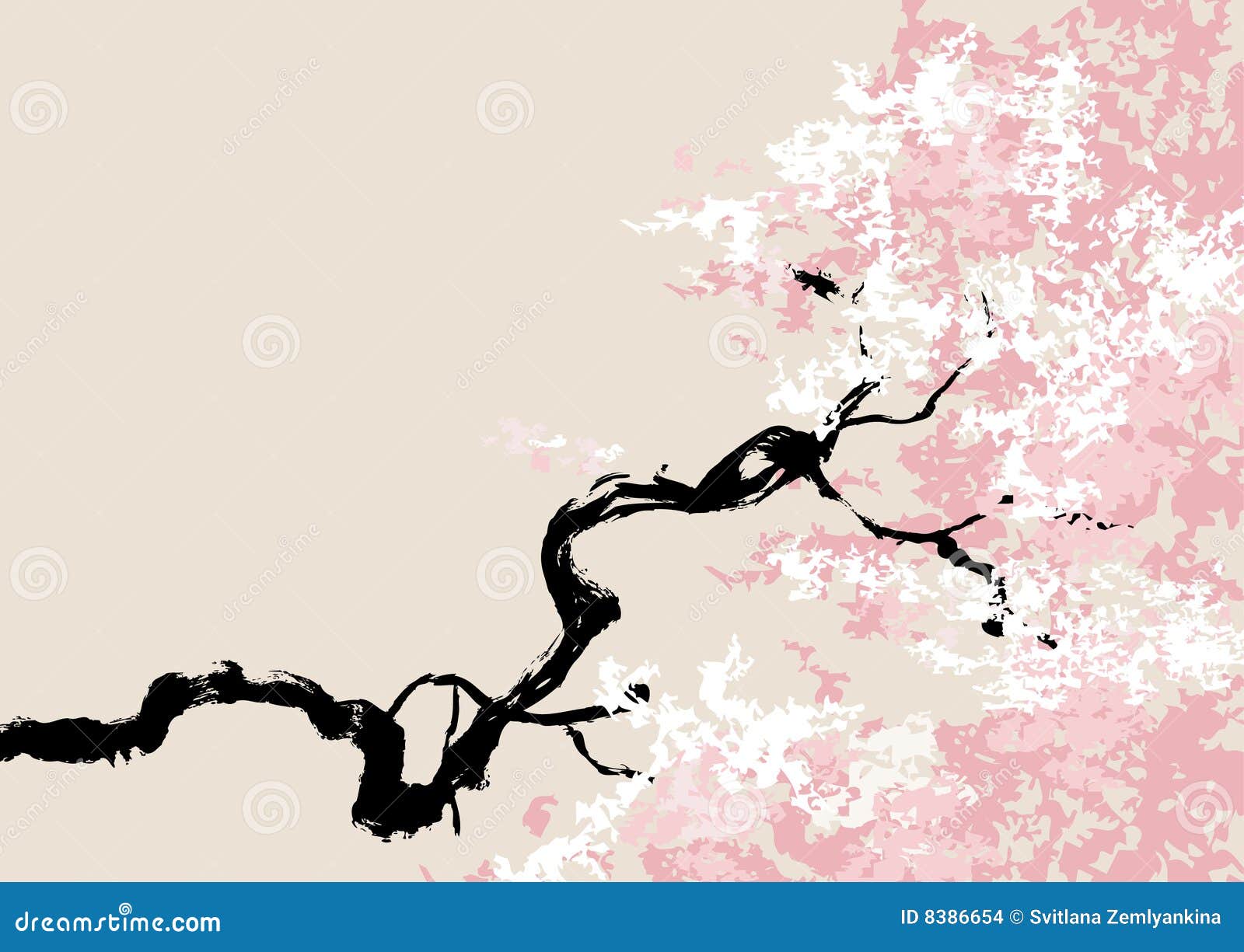 Vector Illustration of Cherry Blossom Stock Vector - Illustration of ...