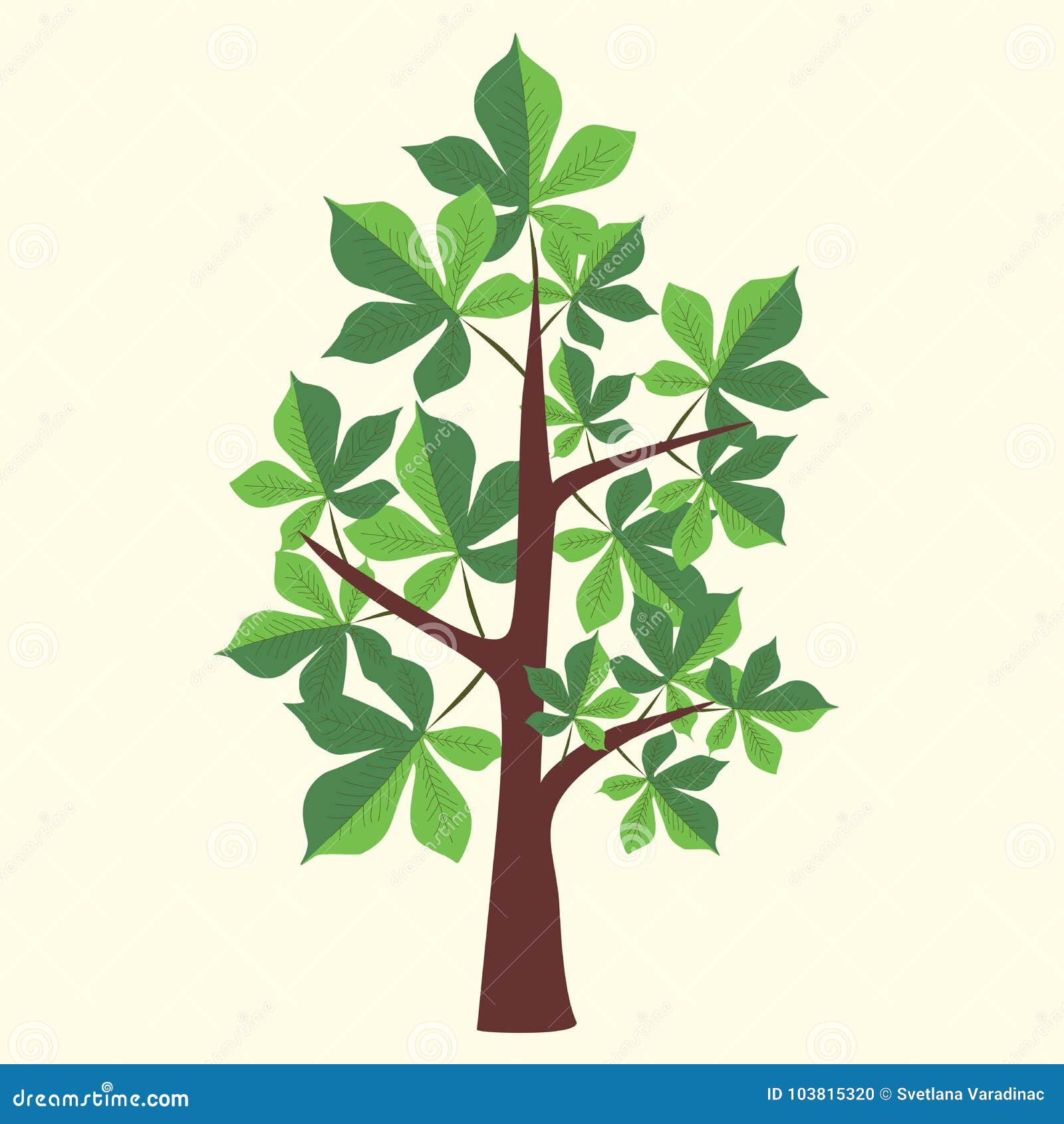 Vector Illustration of Chestnut Tree with Two Color Leaves on Light ...