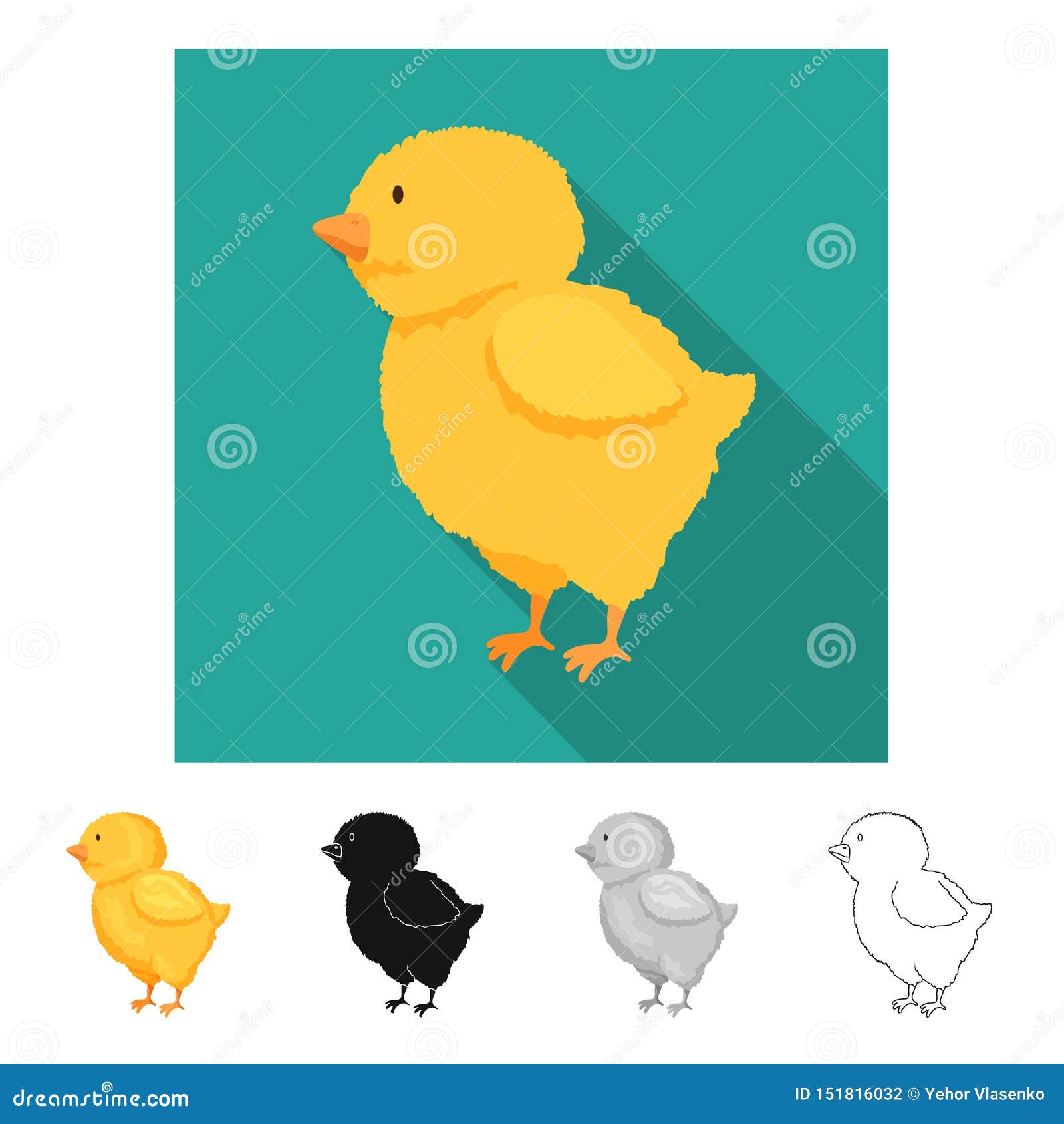Vector Design of Chick and Easter Symbol. Set of Chick and Cute Vector ...