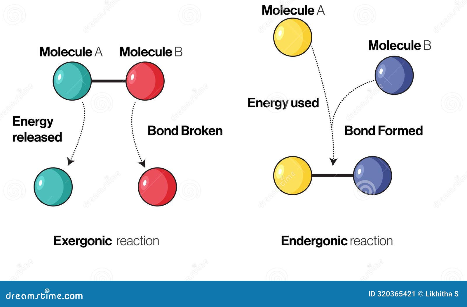 Endothermic Vs Exothermic Reactions Infographic Diagram Cartoon Vector ... Endothermic Vs Exothermic Reactions Infographic Diagram Cartoon Vector ...