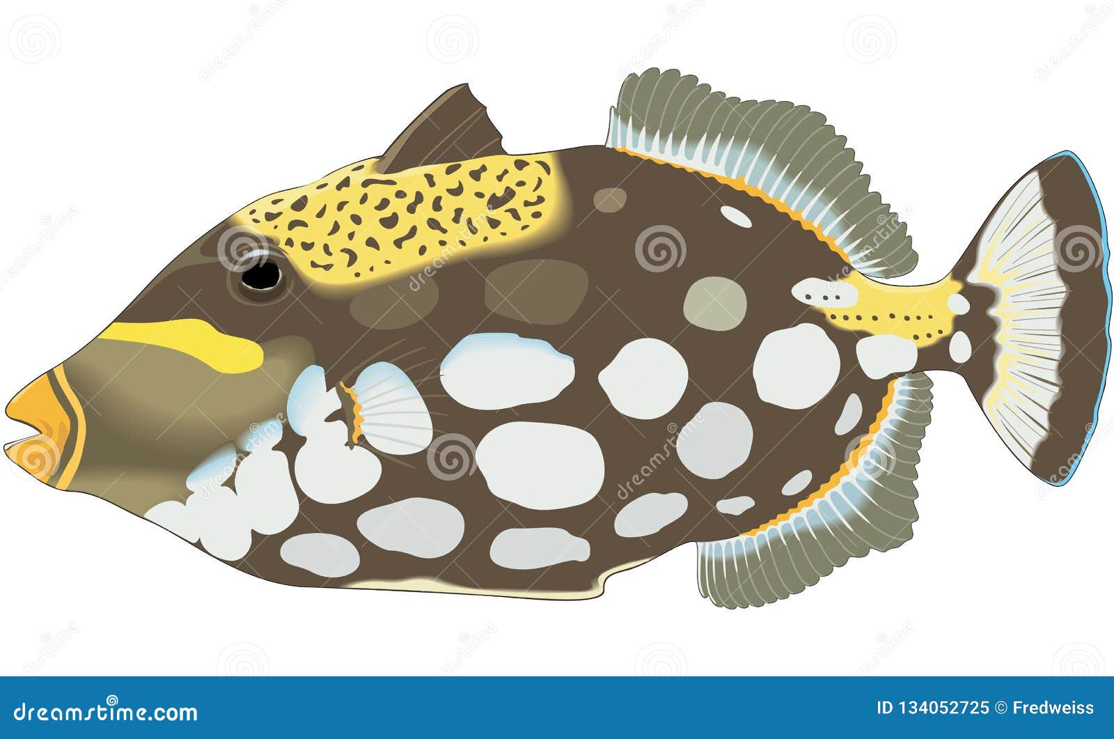 Clown Triggerfish Illustration Stock Vector - Illustration of ocean ...