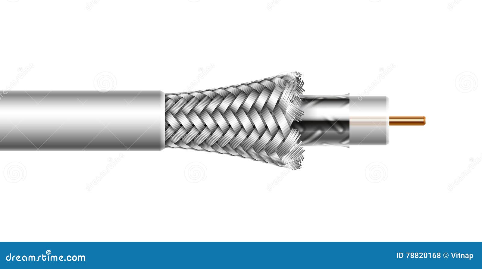 Vector Illustration of the Coaxial Tv Cable Structure Stock Vector ...