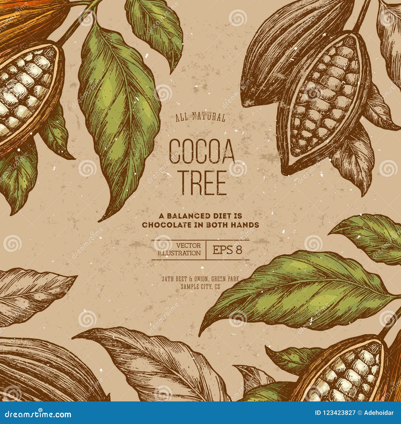 Cocoa Bean Tree Frame Design Template. Engraved Style Illustration ...