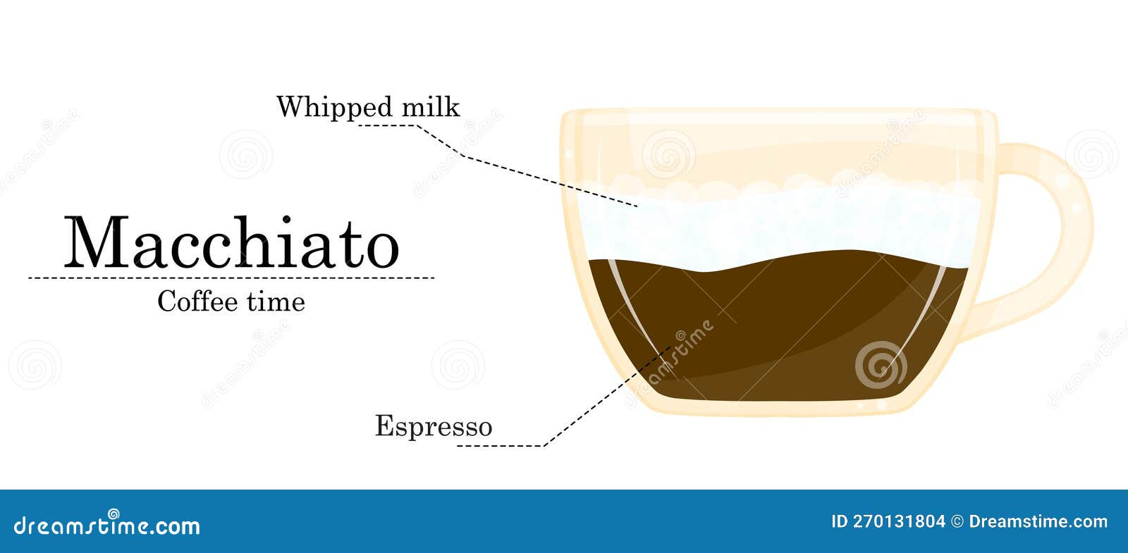 Vector Illustration of Coffee Recipe, Macchiato Recipe Stock Vector ...