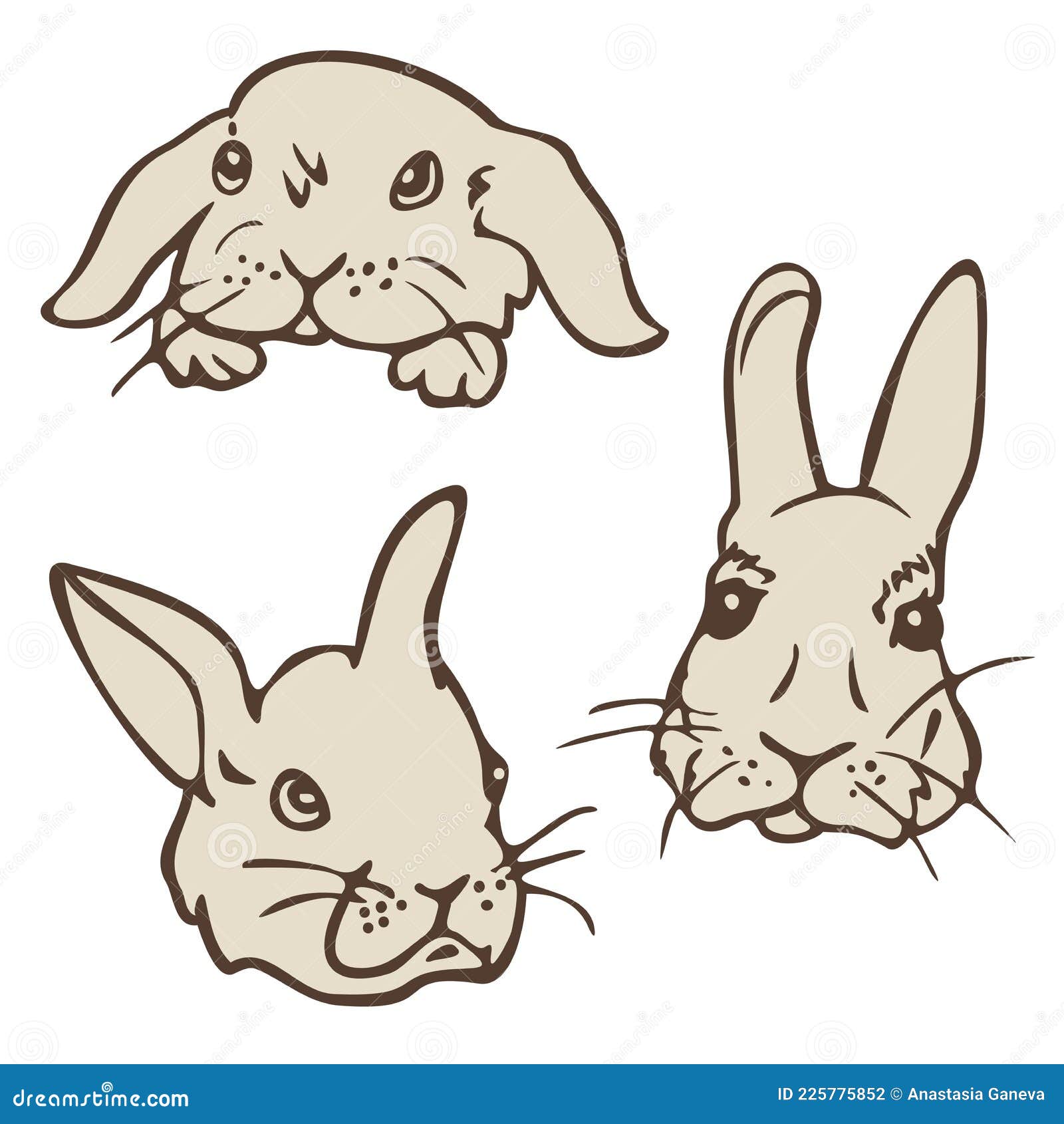 Vector Illustration with Collection of Rabbit Faces. Stock Vector ...