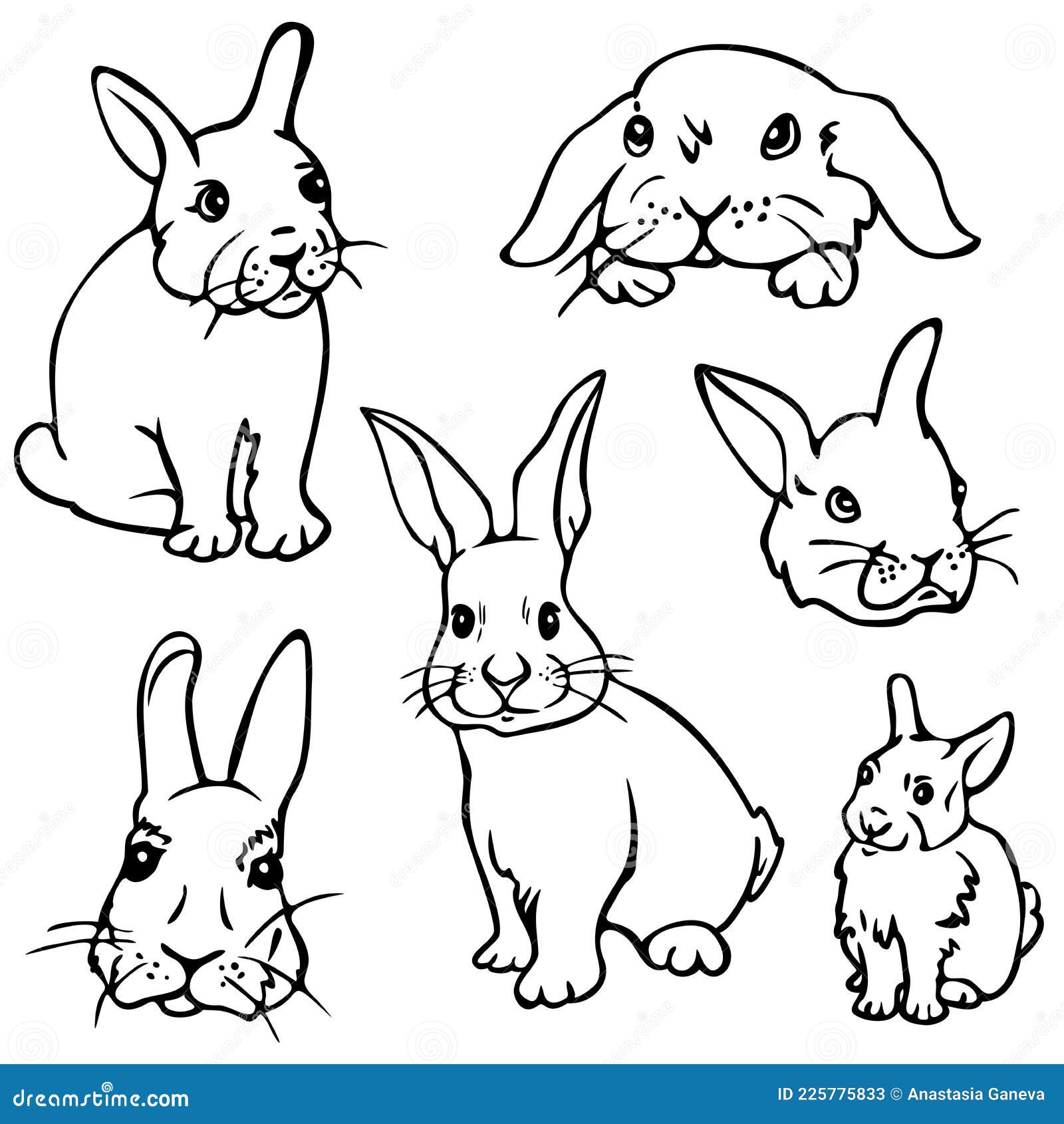 Vector Illustration with Collection of Rabbits. Stock Vector ...