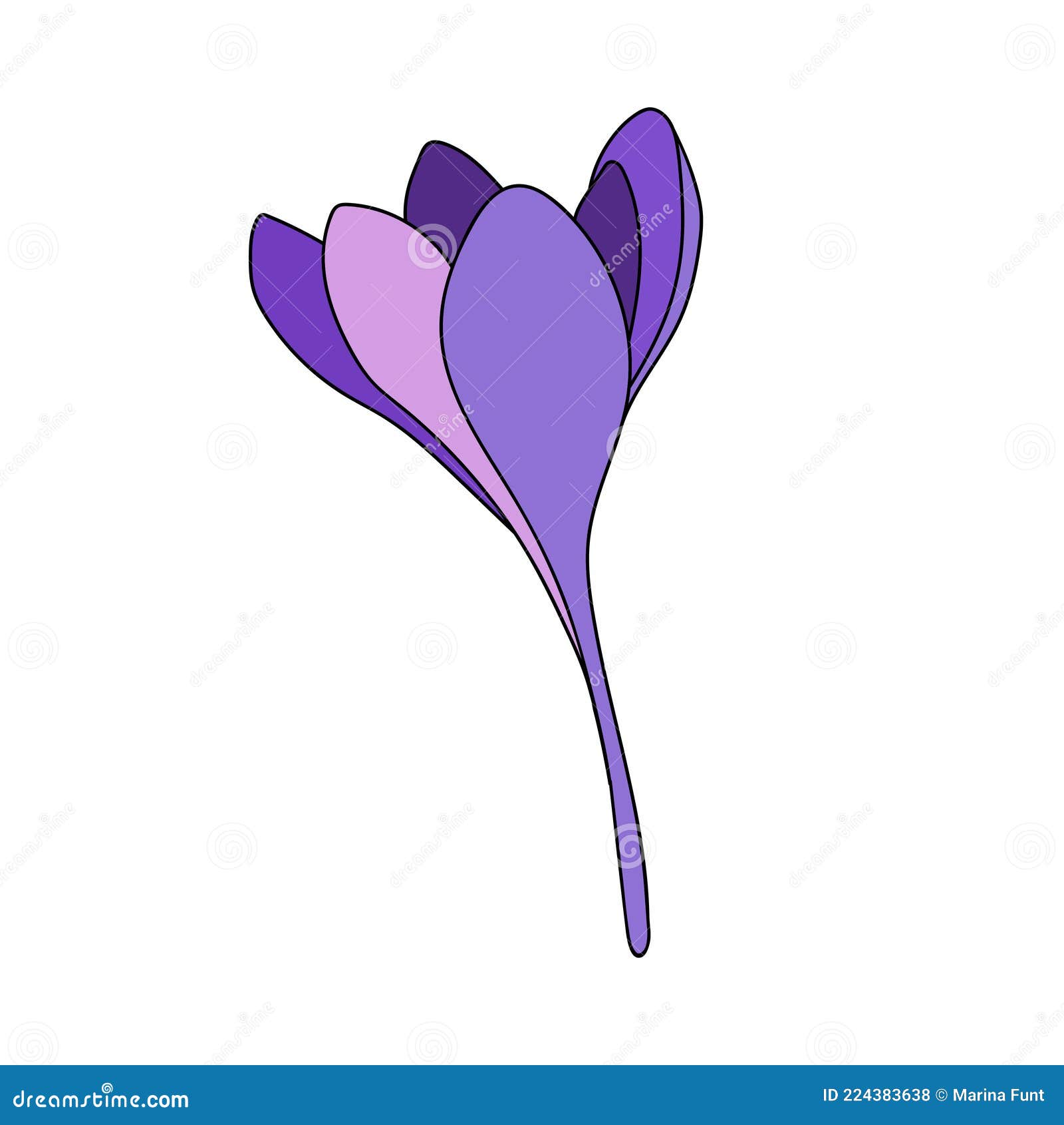 Vector Illustration of a Color Single One Crocus Saffron Flower Linear ...