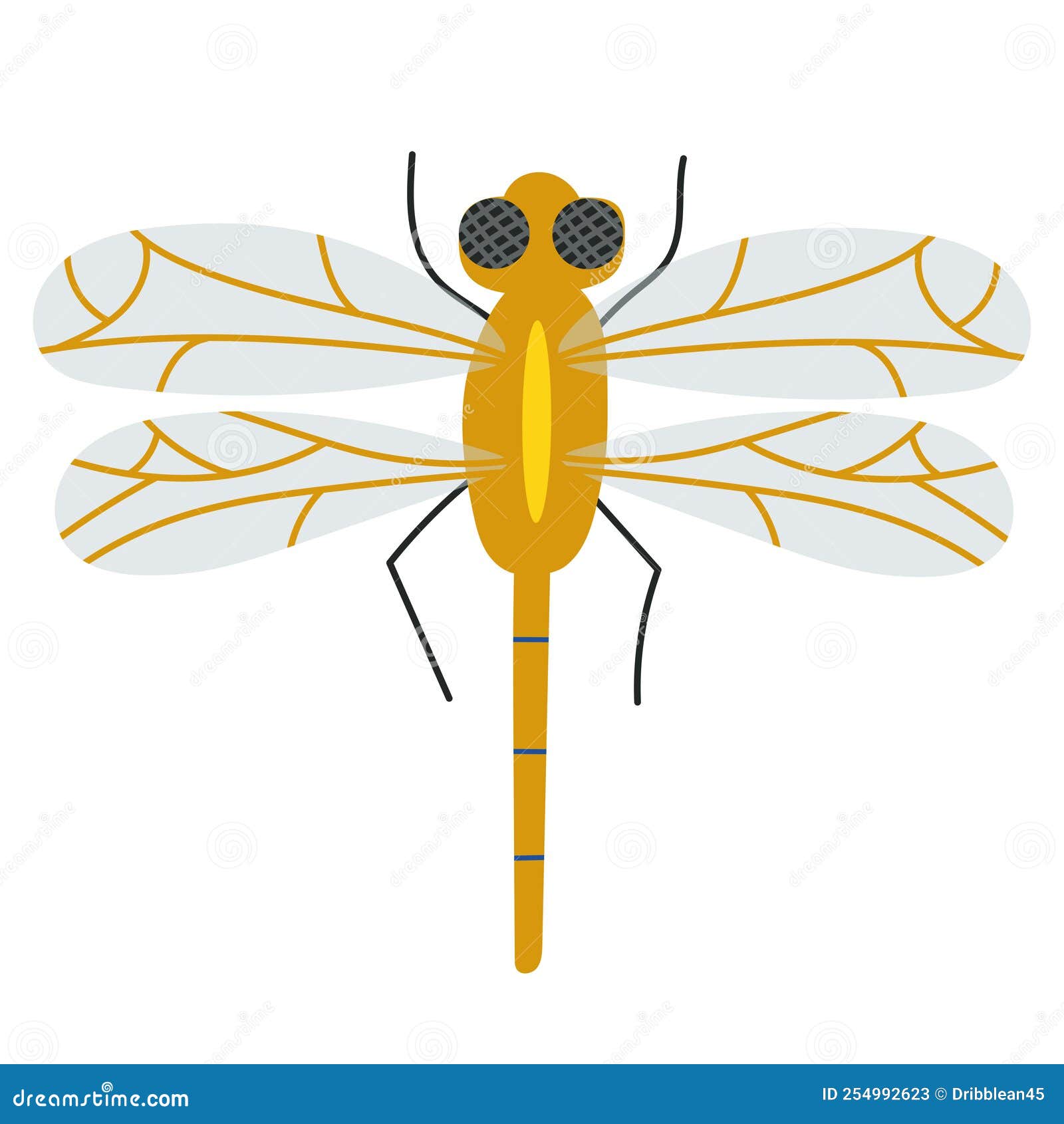 Vector Illustration of Colorful Insect Dragonfly Isolated on White ...