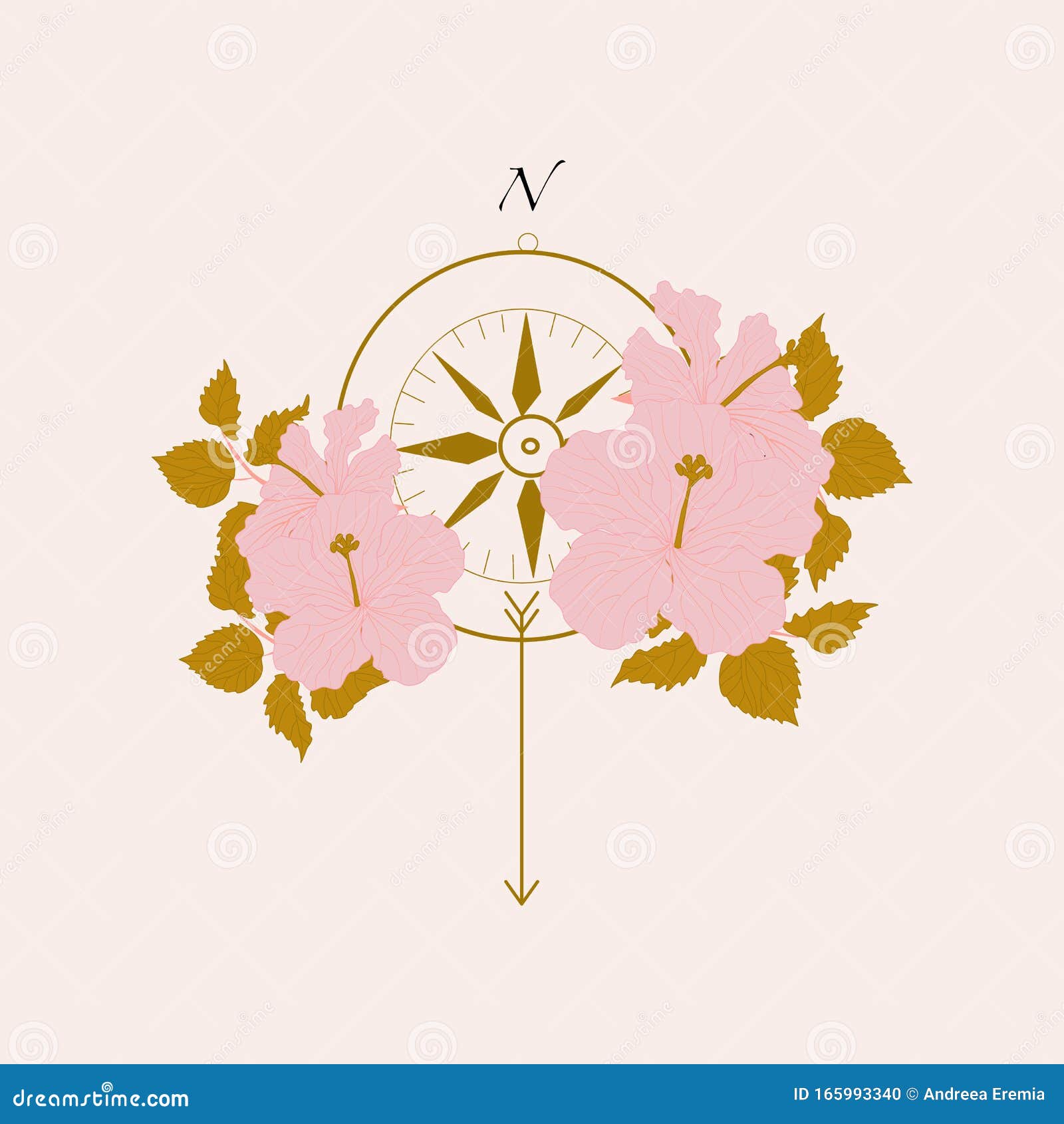 Vector Illustration with Compass and Pink Flowers Stock Vector ...