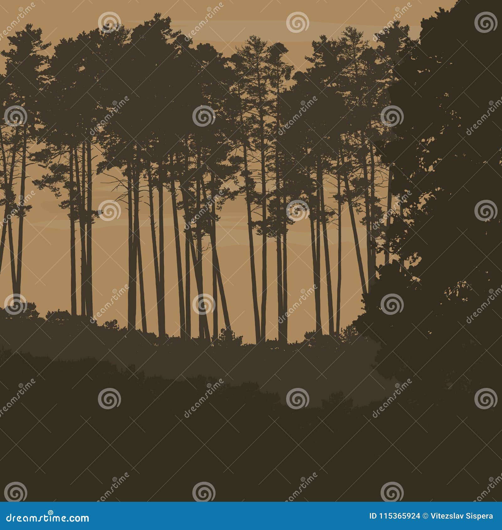 Vector Illustration of Coniferous Forest with Tall Trees Beneath Stock ...