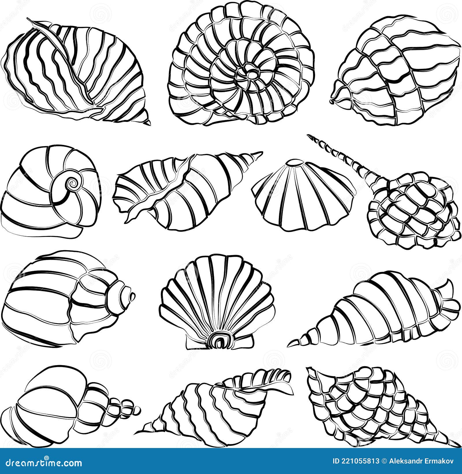 Vector Illustration of Contour Drawings Various Abstract Sea Shells ...