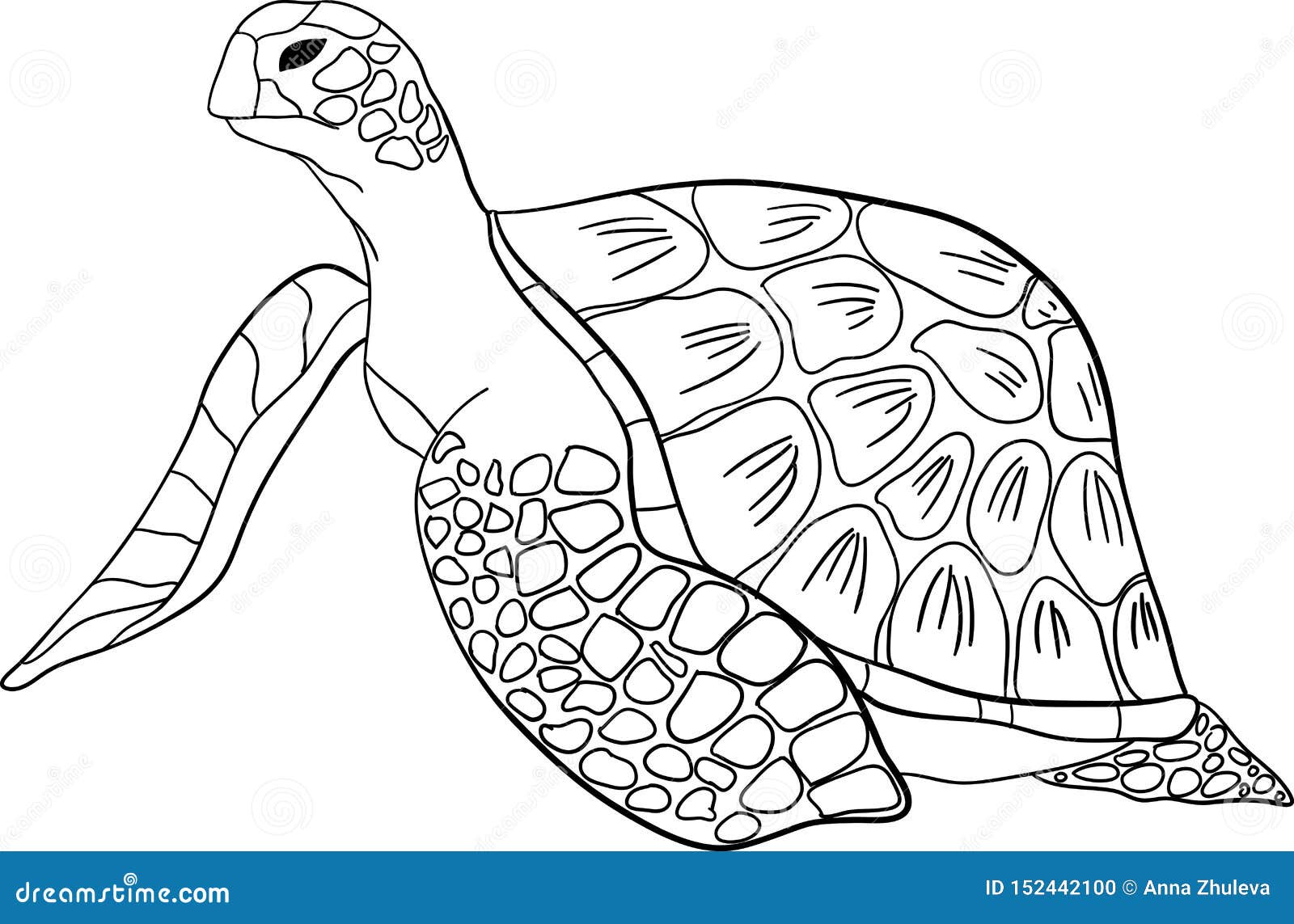 Contour Of A Sea Turtle On The Isolated White Background Vector ...